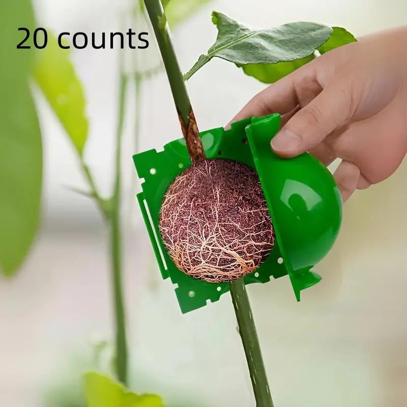 Plant Rooting Ball, 20pcs Rooting Ball Grafting Tool, High Pressure ...