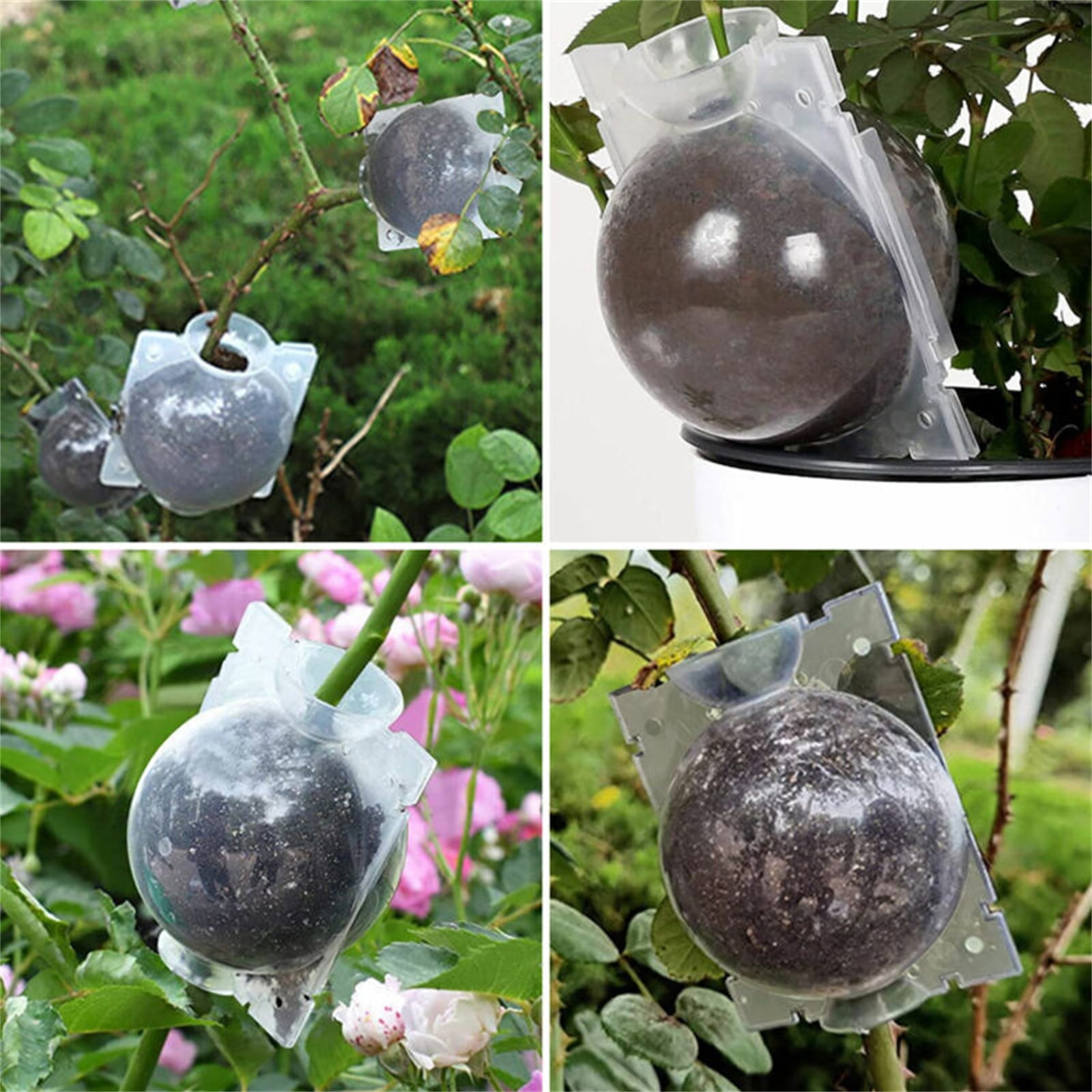 Plant Rooting Device High Pressure Propagation Ball Kit for Fast Growth ...