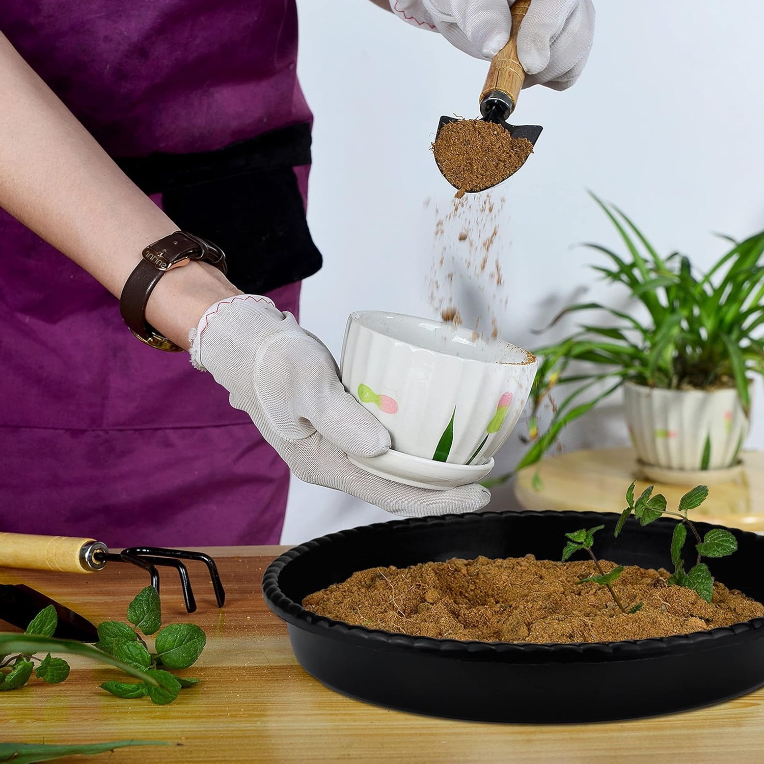 Plant Saucers , Heavy Sturdy Plant Trays Pot Tray for Indoor Plastic ...