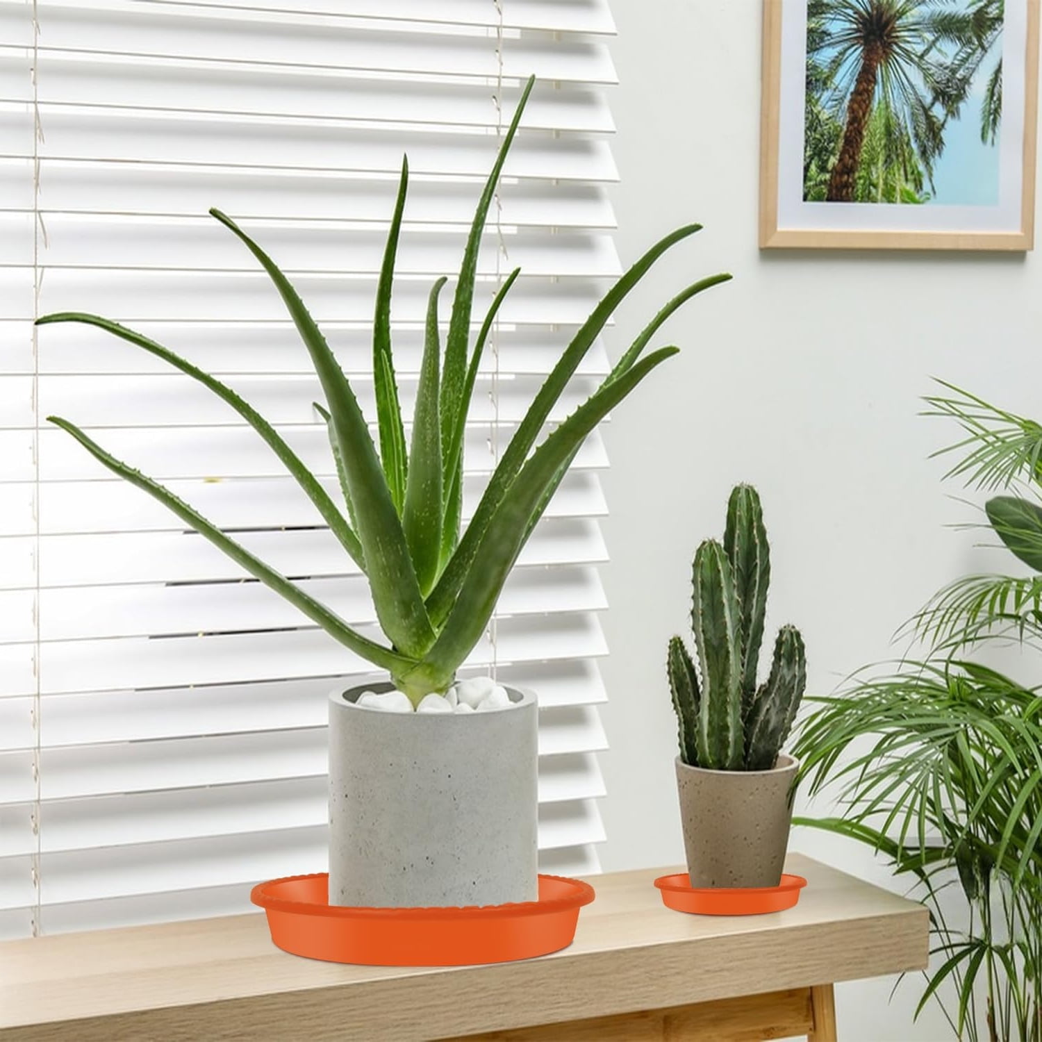 Plant Saucers , Heavy Sturdy Plant Trays Pot Tray for Indoor Plastic ...