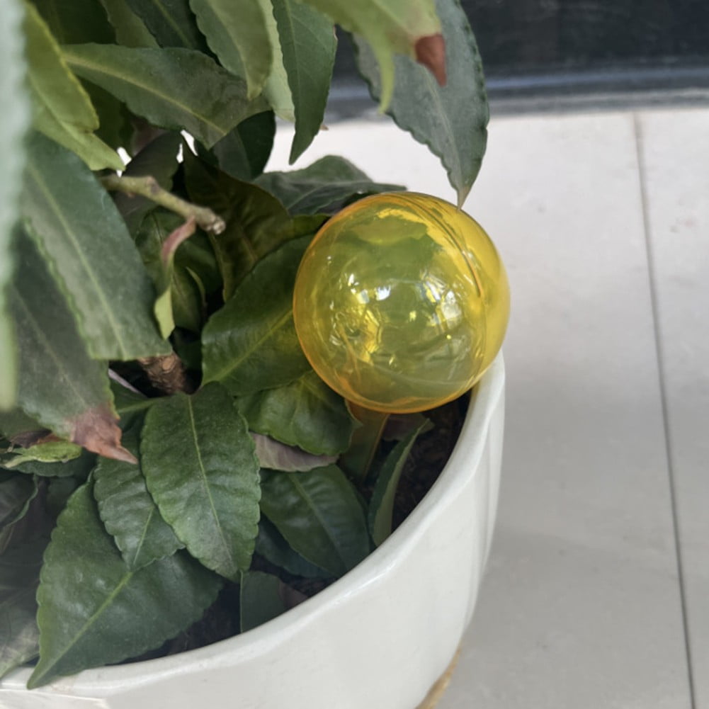 Plant Self Watering Bulb Transparent Water Globe Indoor Garden ...