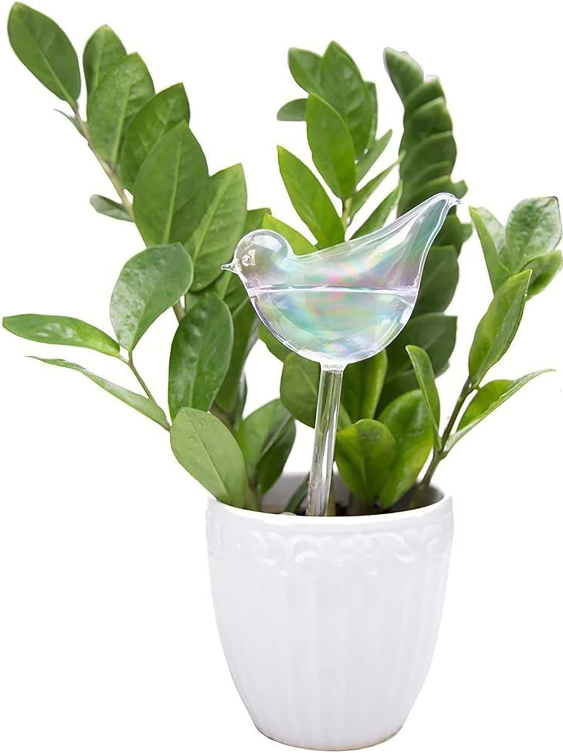 Plant Self Watering Globes Glass Water Bulbs for Planter Insert, Bird ...