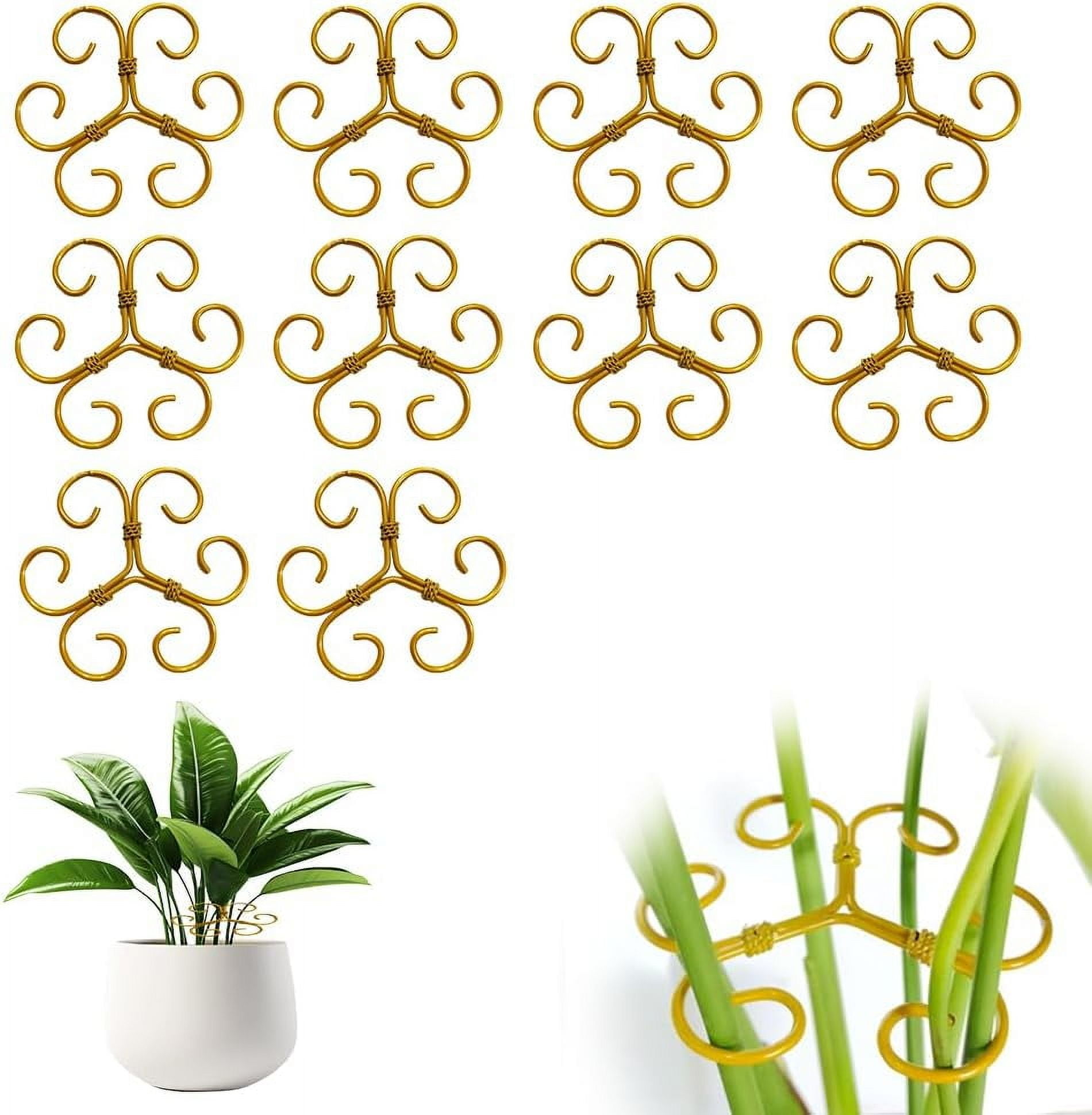 Plant Stabilizer for Indoor Plants, Plant Stem Support, Plant ...