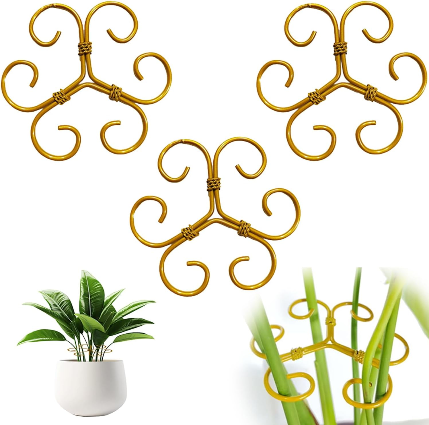 Plant Stabilizer for Indoor Plants, Plant Stem Support, Plant ...