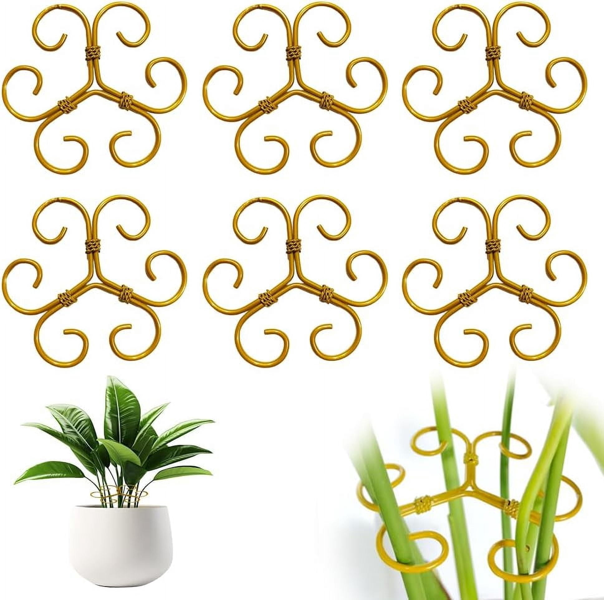 Plant Stabilizer for Indoor Plants, Plant Stem Support, Plant ...