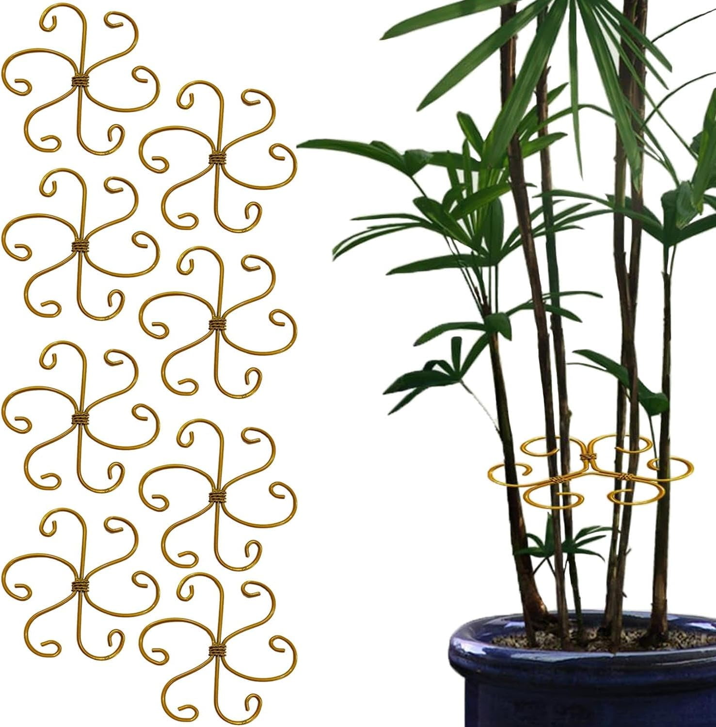 Plant Stabilizer for Indoor Plants, Plant Stem Supports, Plant ...