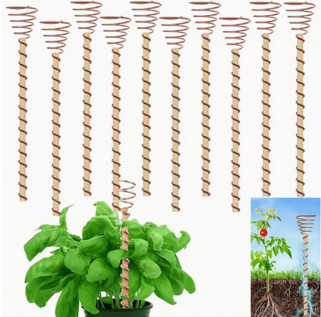 Plant Stake Garden Stake Long Electroplated Copper Coil Gardening ...