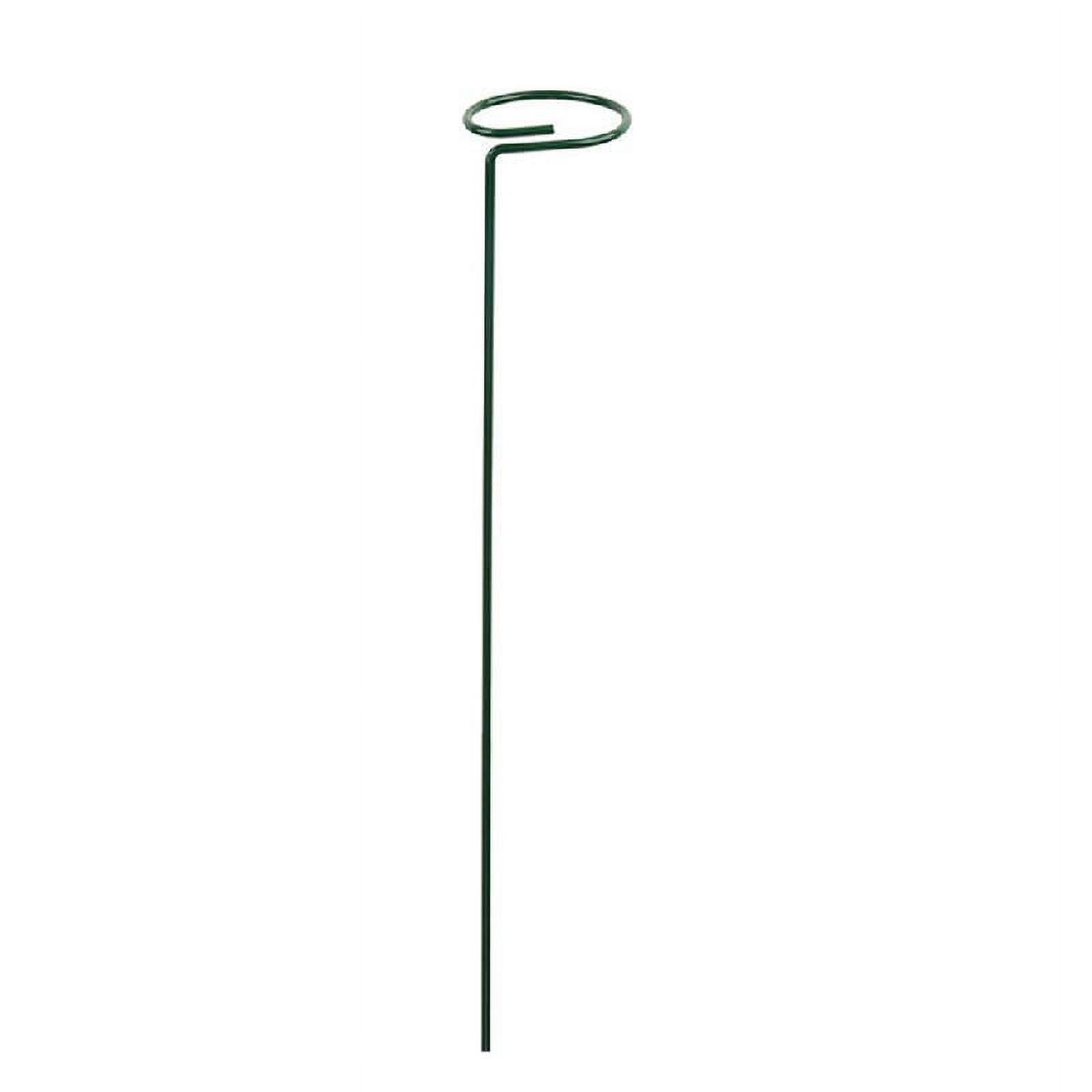 Plant Stake Wrought Iron Rings Single Stem Shrub Holder Garden Support ...