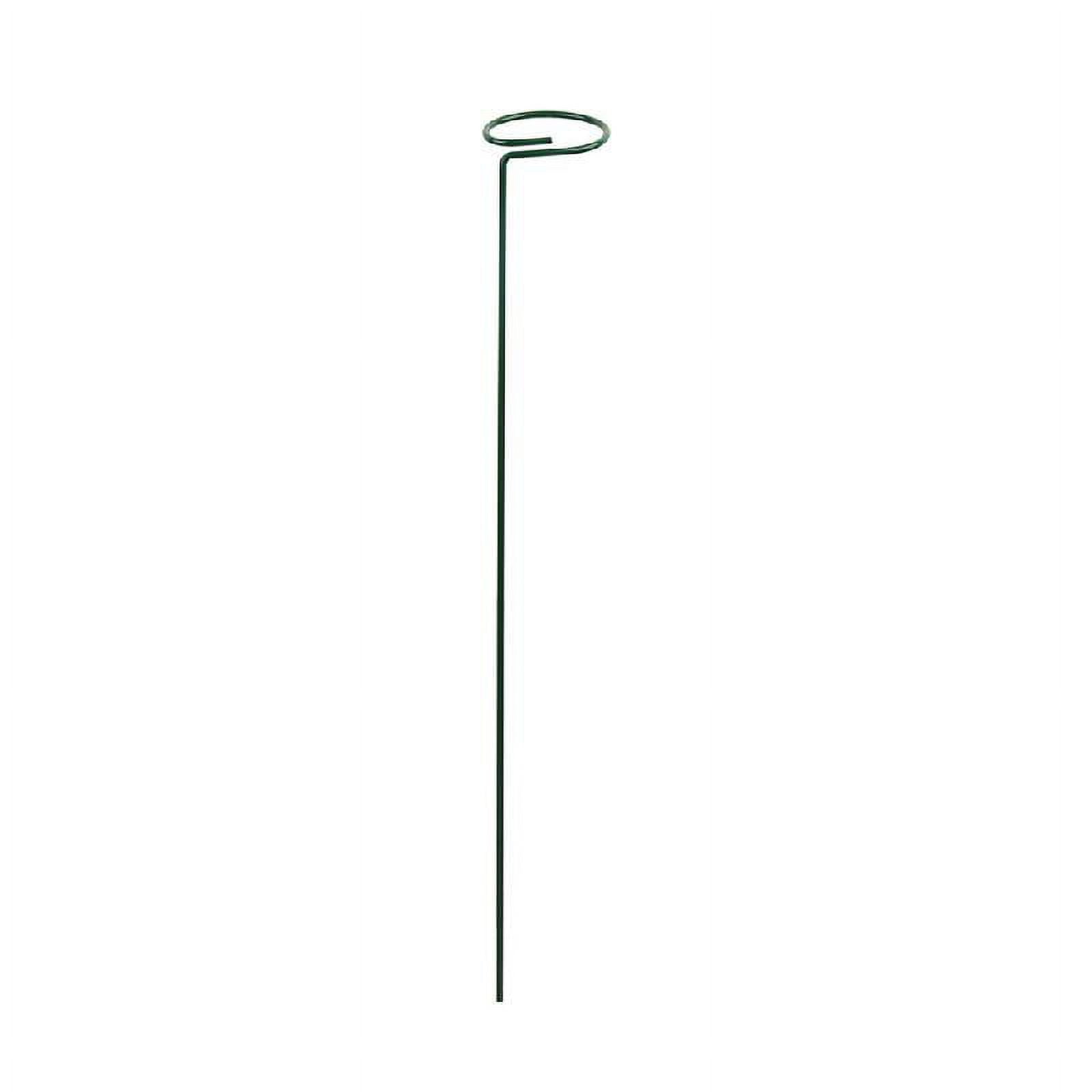 Plant Stake Wrought Iron Rings Single Stem Shrub Holder Garden Support ...