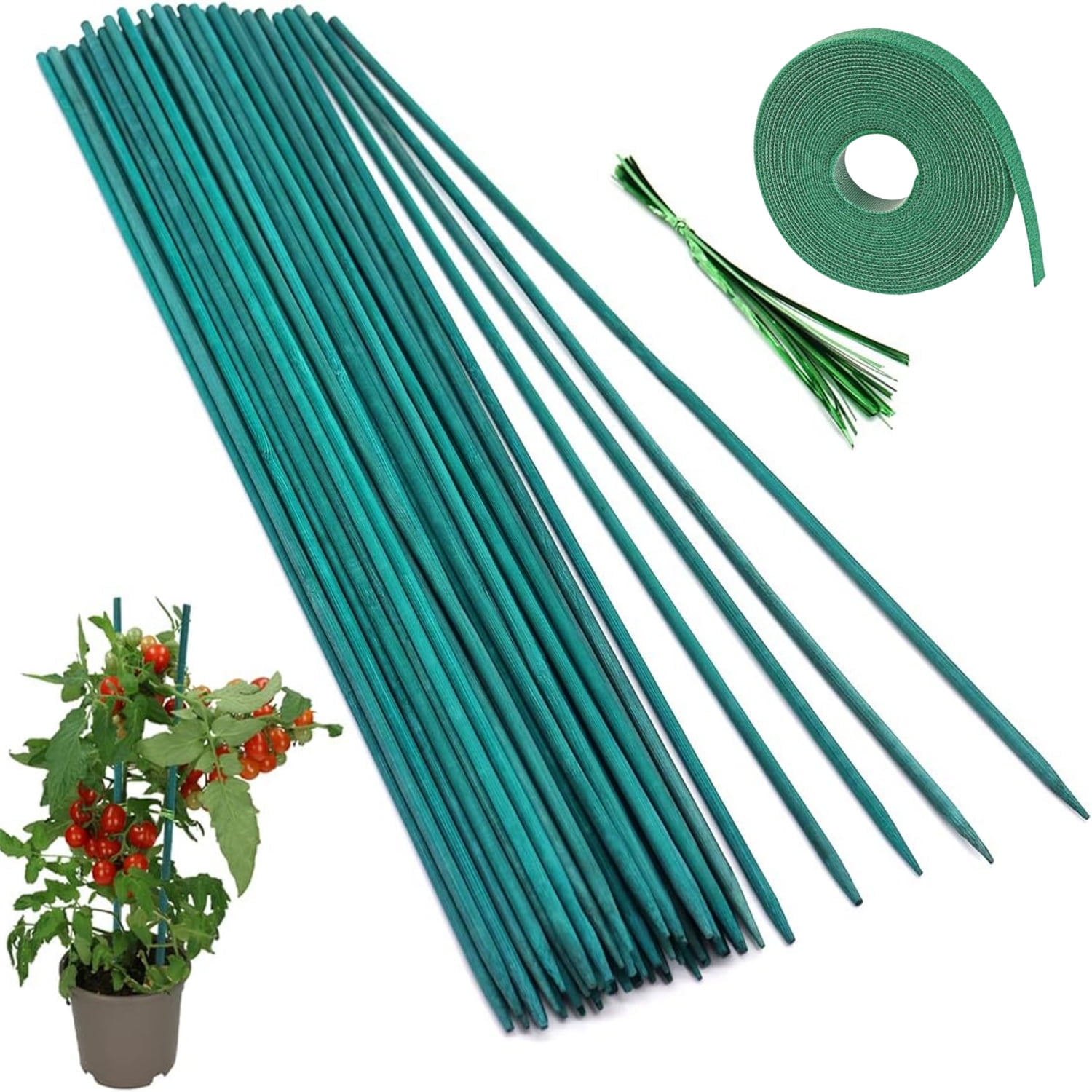 Plant Stakes - Green Garden Bamboo Plant Stakes - Sturdy Wooden Floral ...