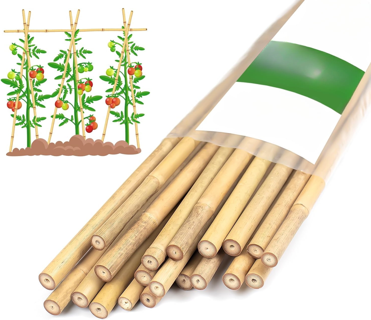 Plant Stakes , Natural Bamboo Sticks Garden Stakes, Plant Support ...