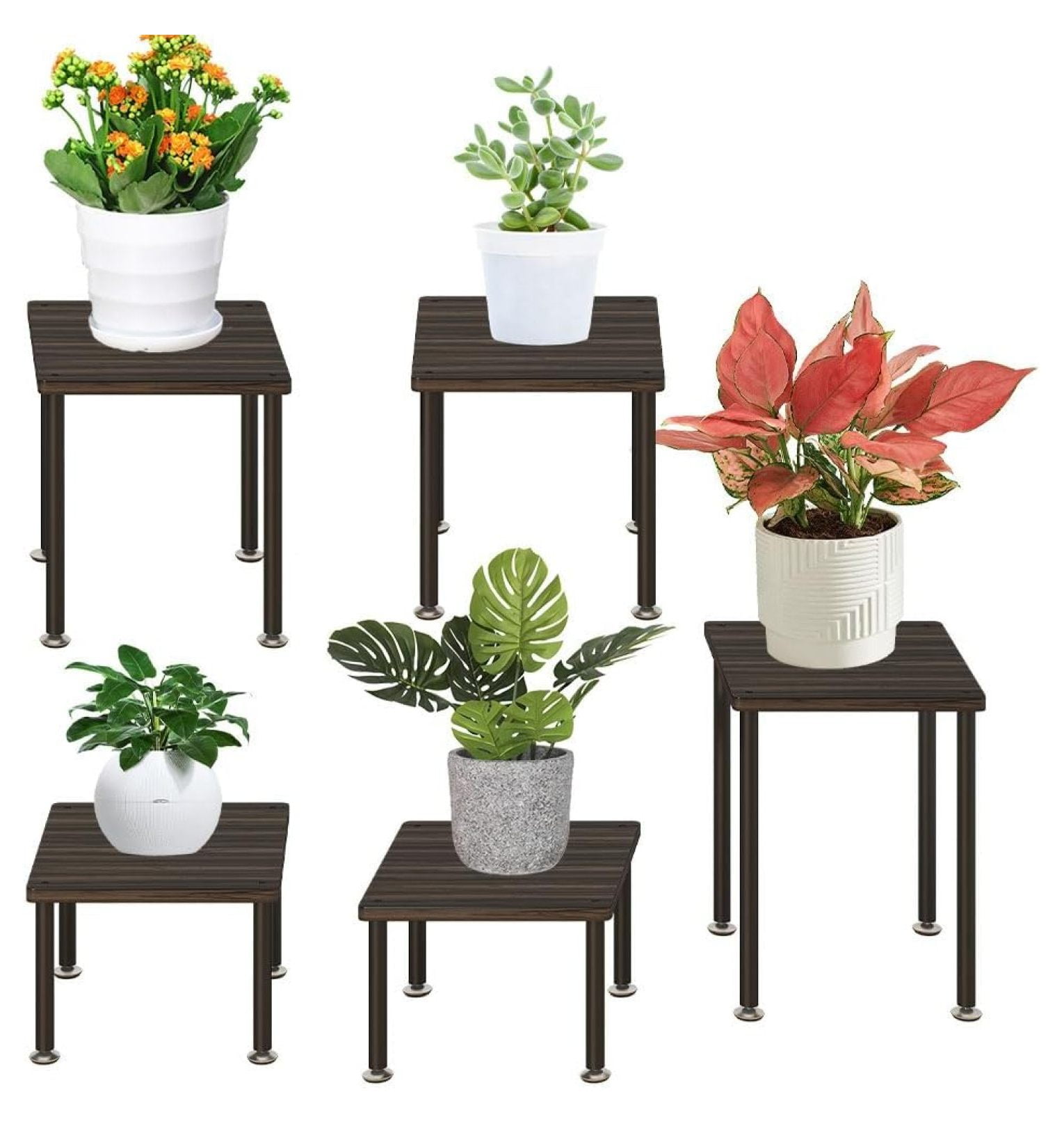 Plant Stand Indoor 5 Pack Metal Shelf Corner Display Rack Stackable and ...
