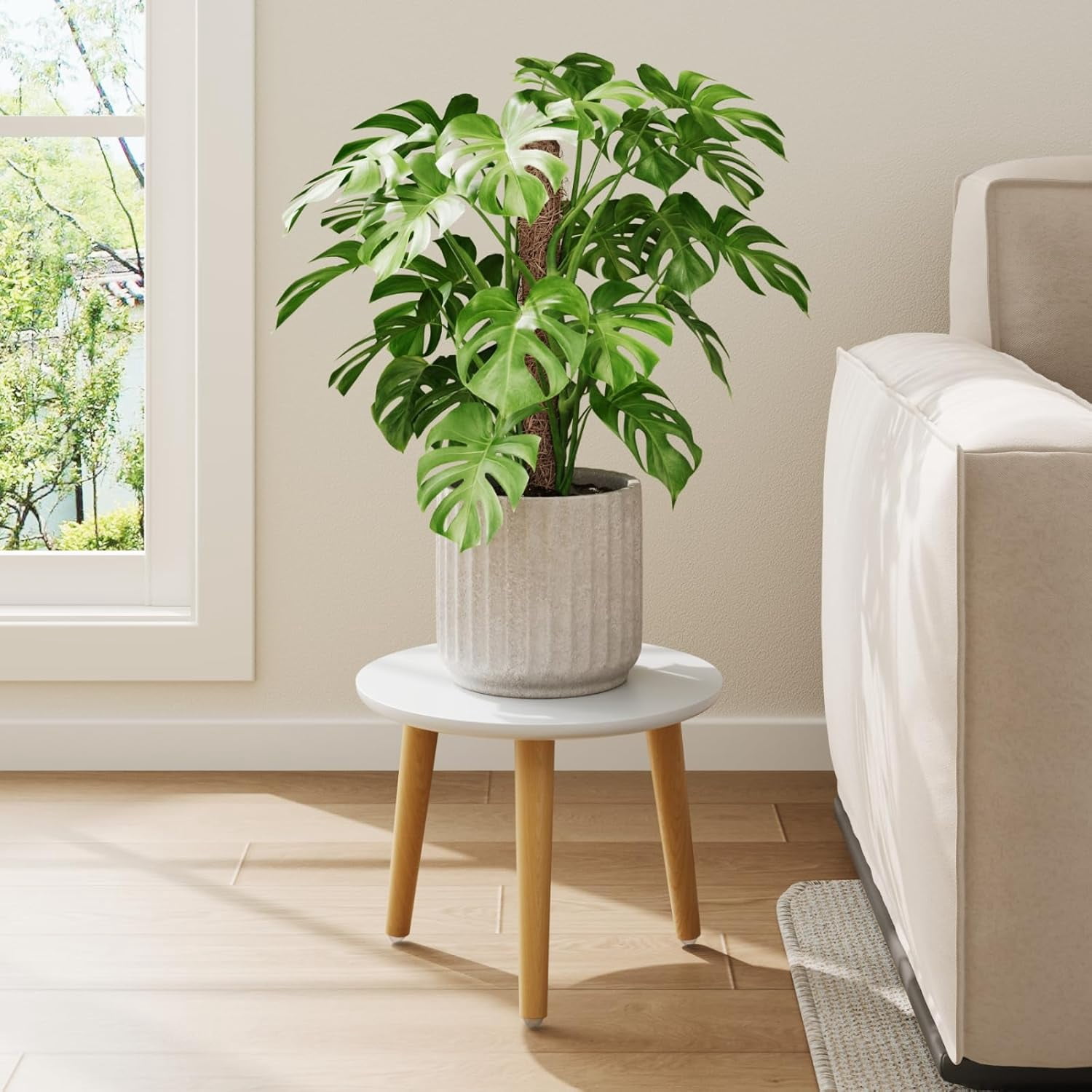 Plant Stand Indoor Small Plant Table for Large Plants Wood Plant Stool ...