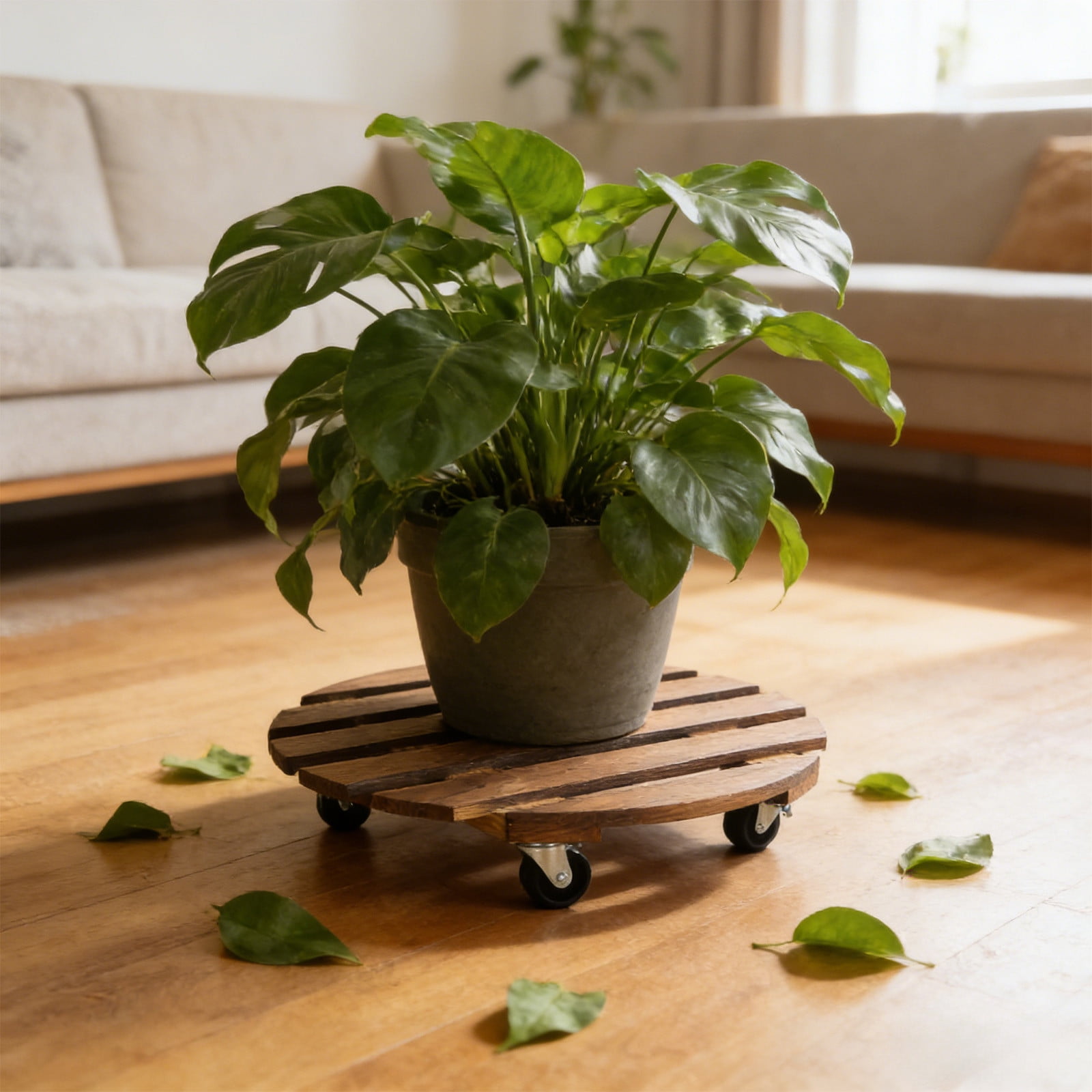 Plant Stand with Wheels, Plant Caddies with 360° Lockable Smooth ...