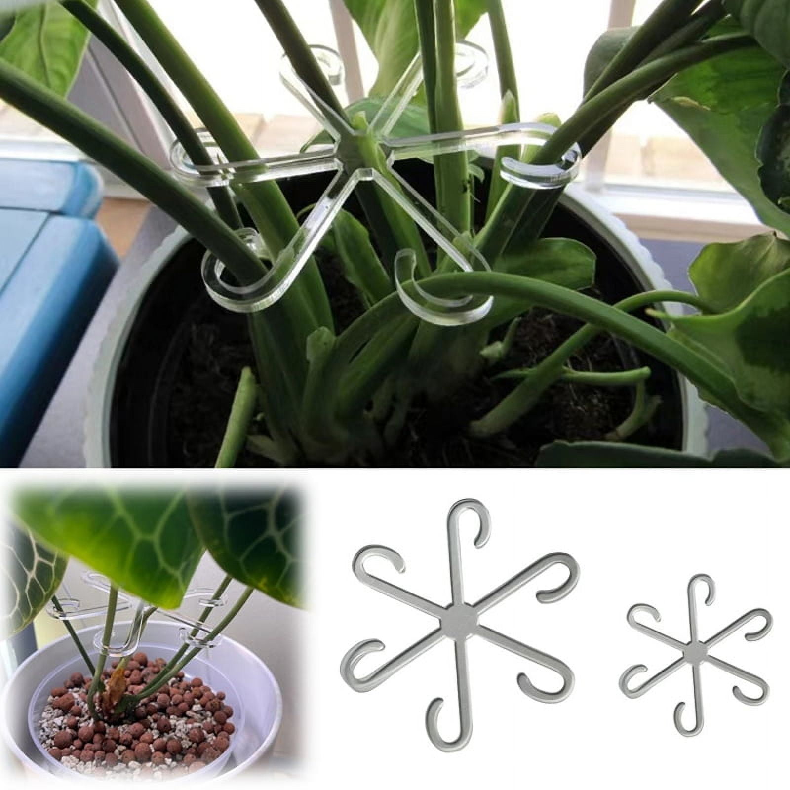 Plant Stem Support, Acrylic Plant Climbers Stem Holders Reusable Plant ...