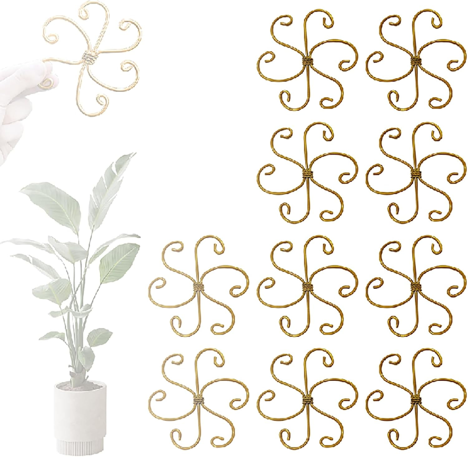 Plant Stem Support Set, Plant Supports Climbing Houseplant Stem ...