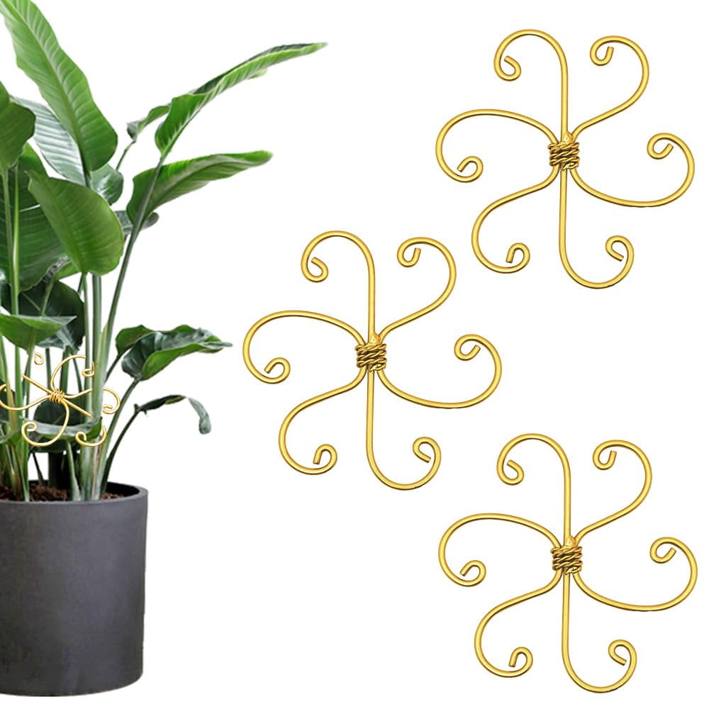 Plant Stem Supports for Indoor Plants, 2025 New Monstera Plant Support ...