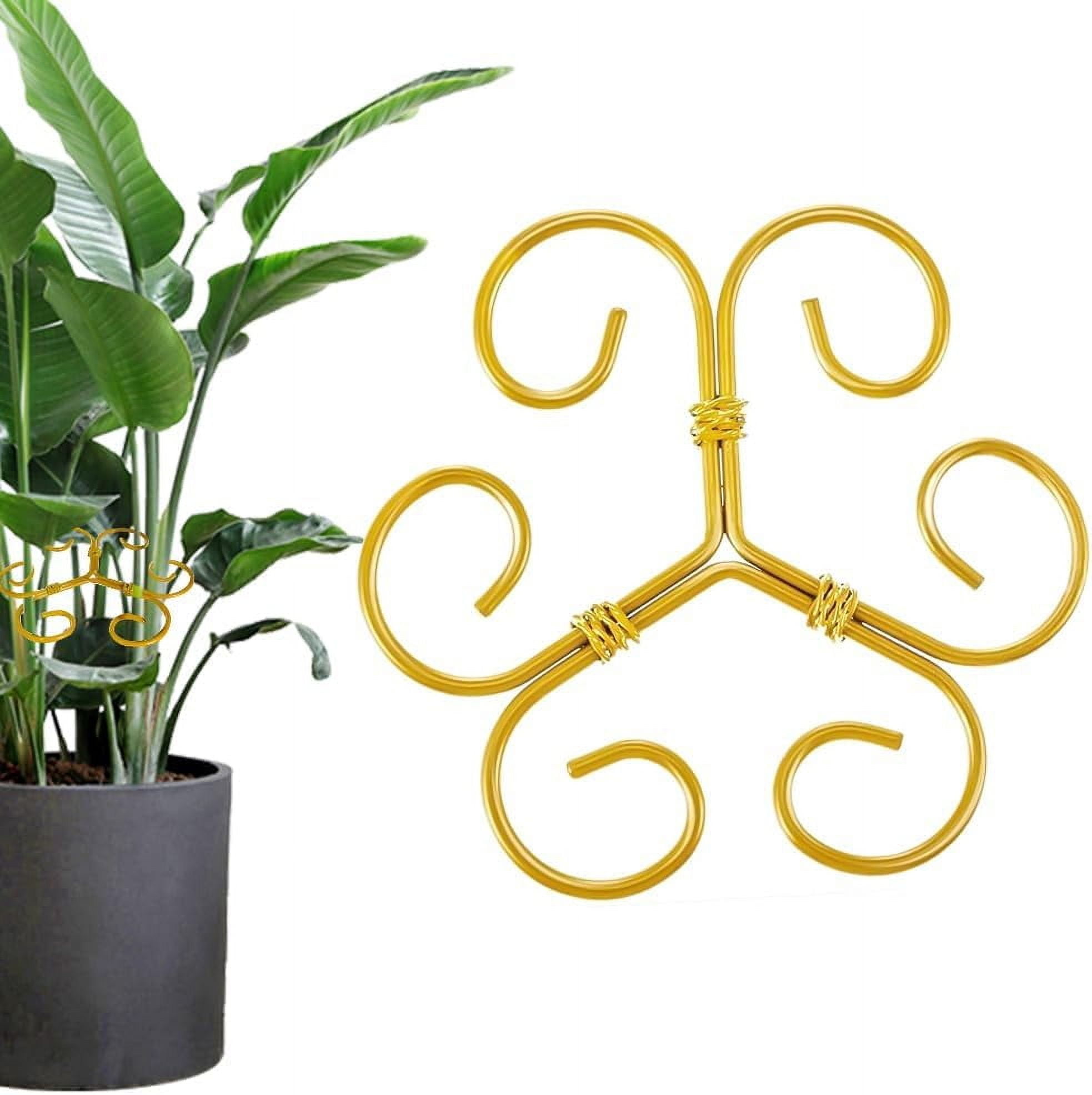 Plant Stem Supports for Indoor Plants, 2025 New Monstera Plant Support ...
