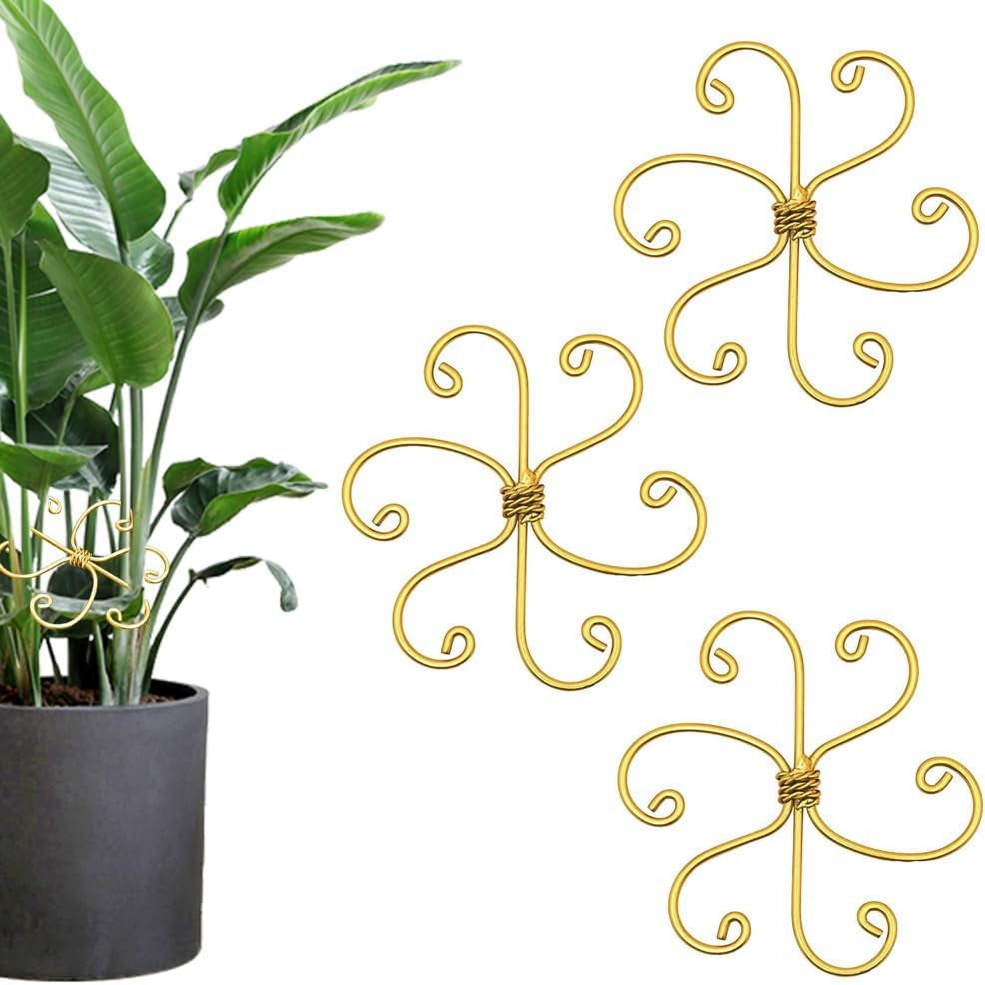 Plant Stem Supports for Indoor Plants, 2025 New Monstera Plant Support ...