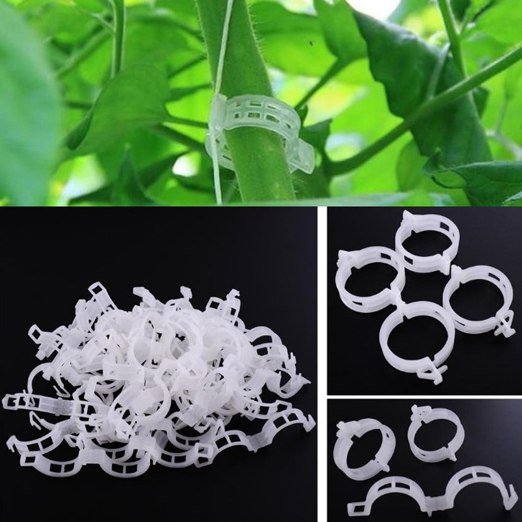 Plant Support Clips 200 Pack | Plastic Grafting Fixing Clips for Stems ...