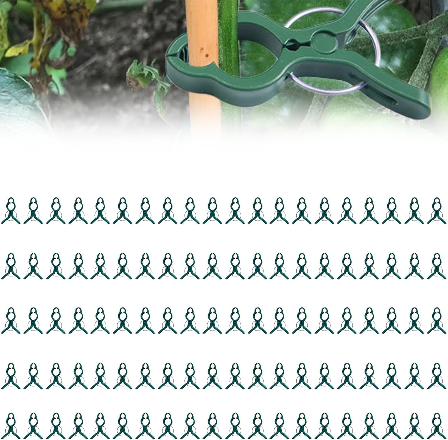 Plant Support Clips,2024 New Secured Plastic Plant Clips,Plant Fixing ...