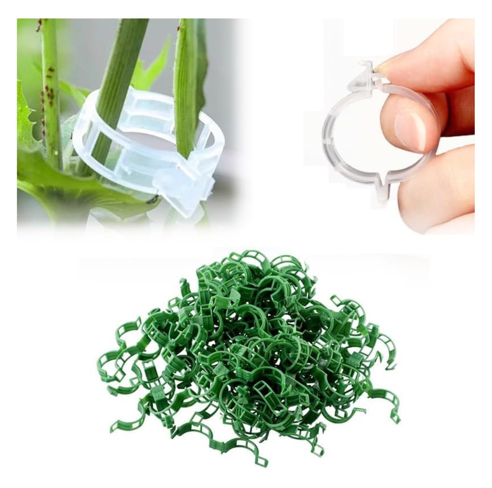Plant Support Clips, 2024 Thickened Plant Fixing Clip for Climbing ...