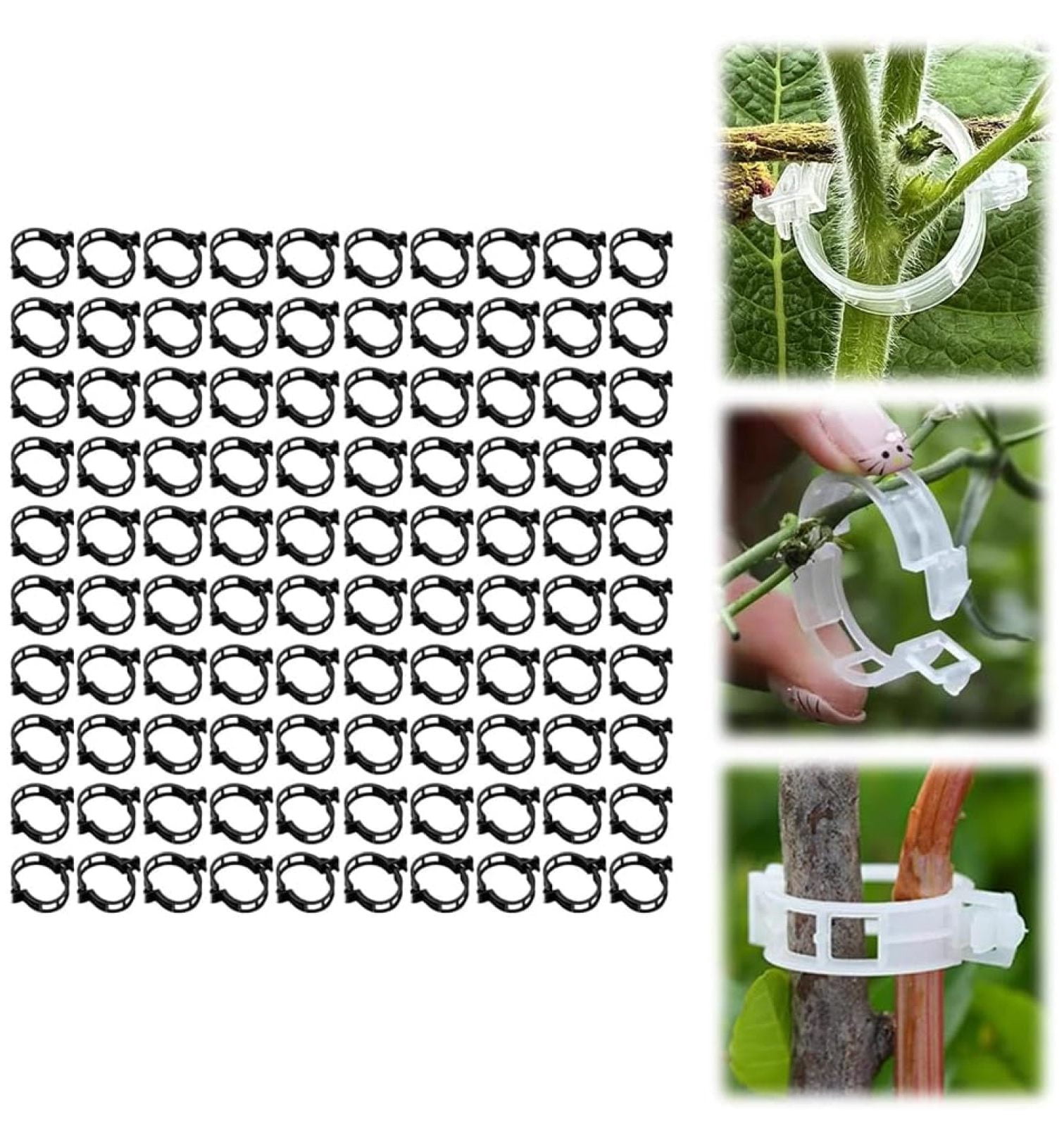 Plant Support Clips,50/100/150 Pcs Plant Clips For Climbing Plantsplant ...