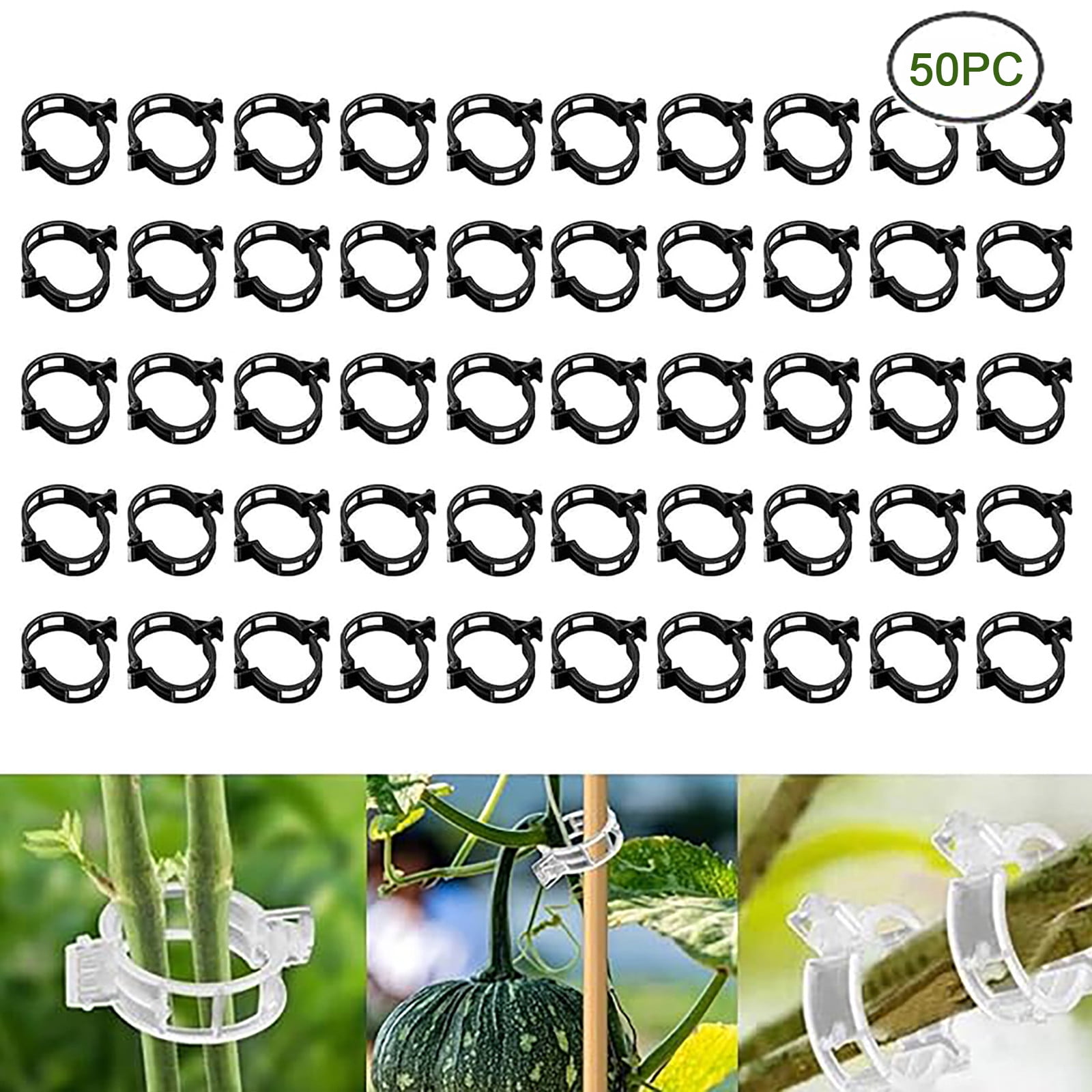 Plant Support Clips for Climbing Vines | Plastic Lattice Clip | Secured ...