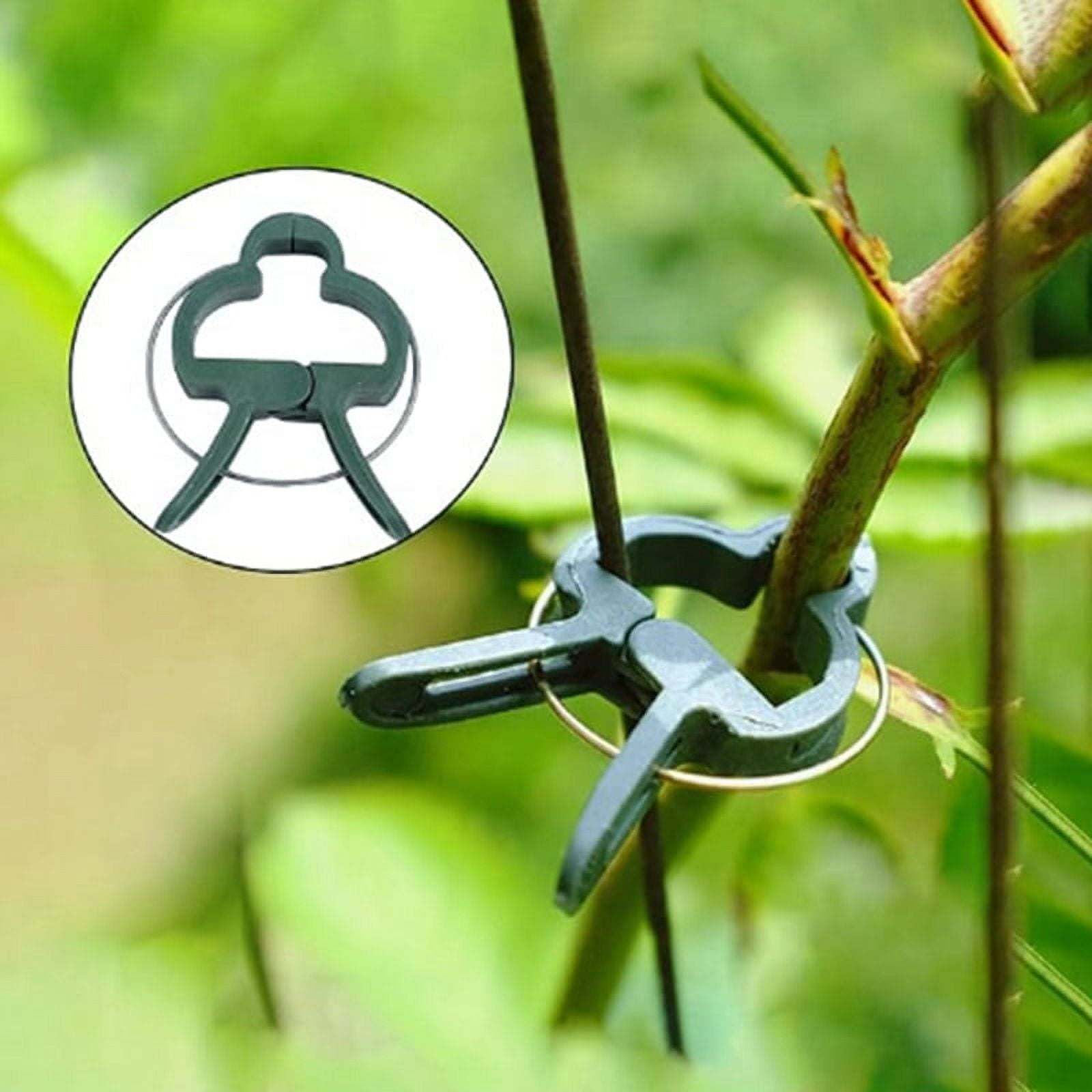 Plant Support Clips,Plant Support Clips Plant Clips for Climbing Plants ...