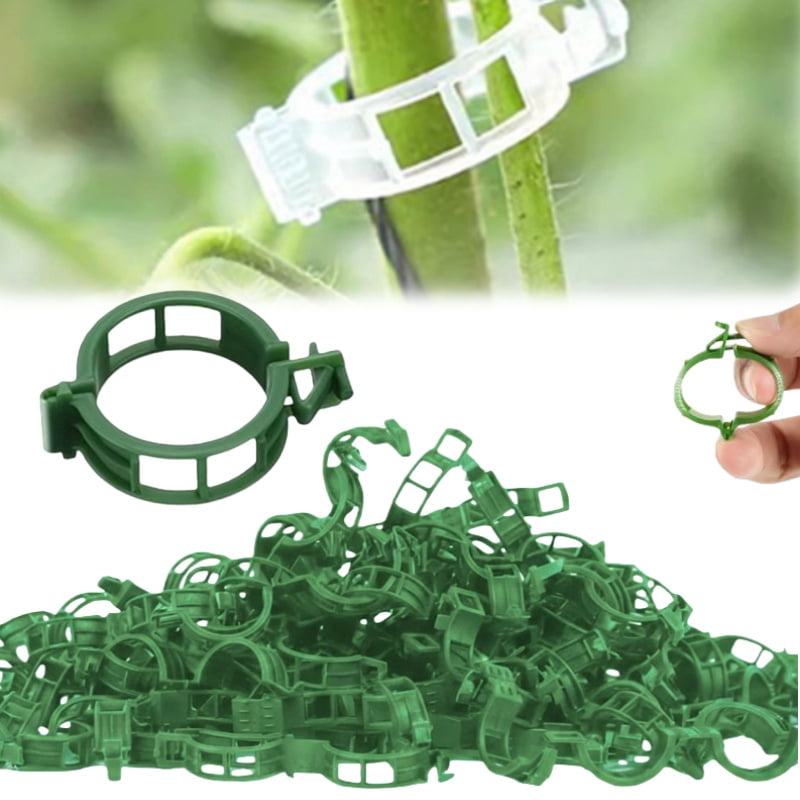 Plant Support Clips, Plastic Garden Fixing Clips for Climbing Plants ...