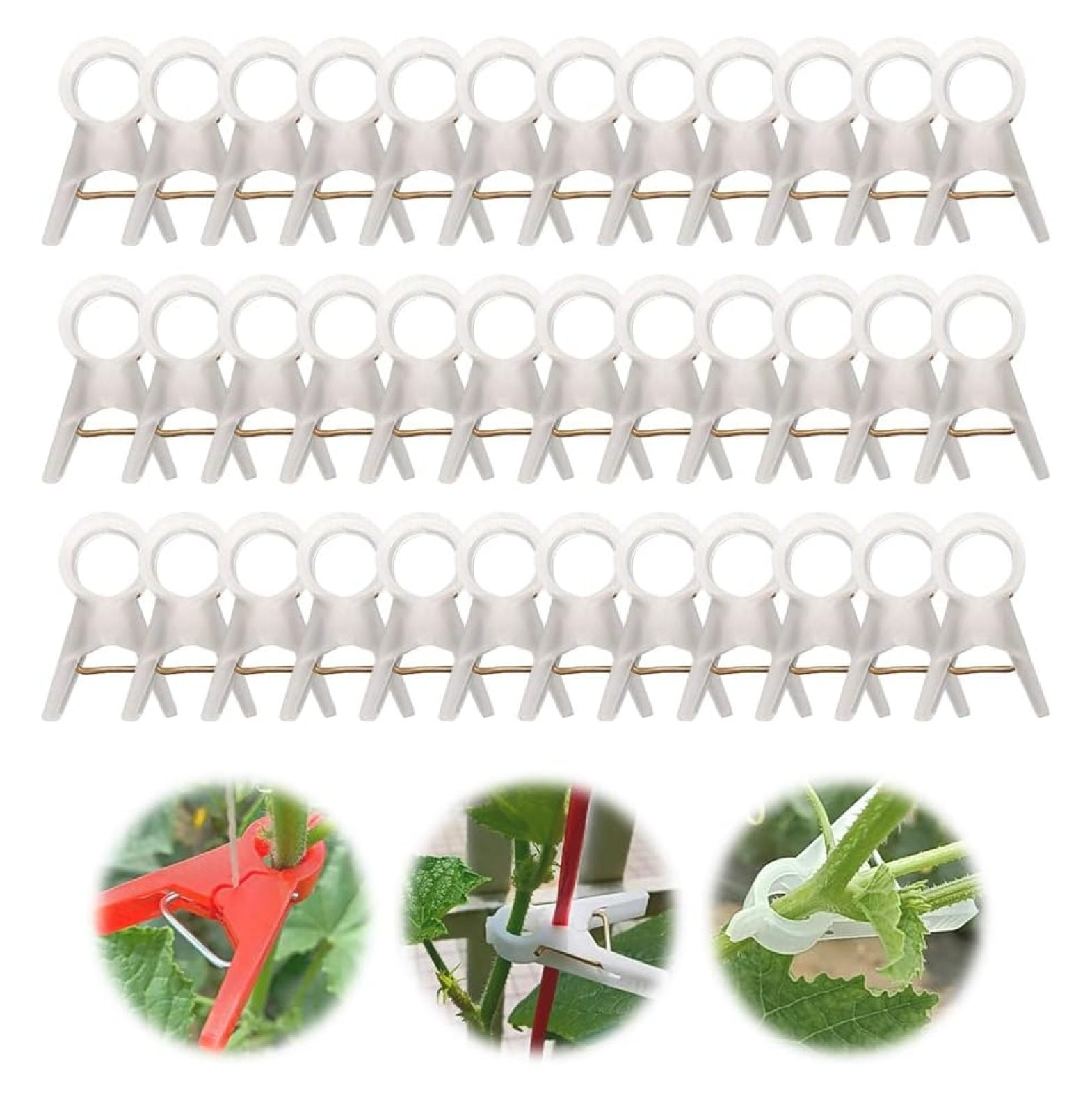 Plant Support Clips Reusable Garden Clips, Secured Plastic Plant Clips ...