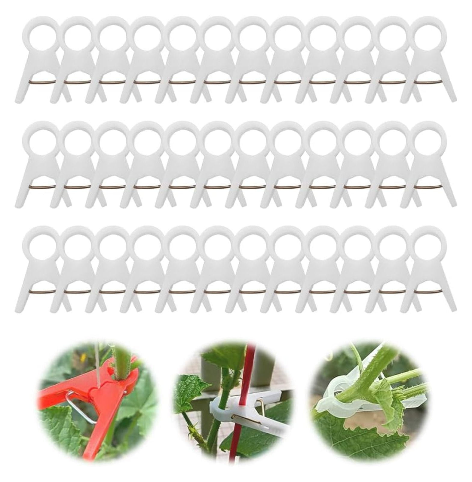 Plant Support Clips Reusable Garden Clips, Secured Plastic Plant Clips ...
