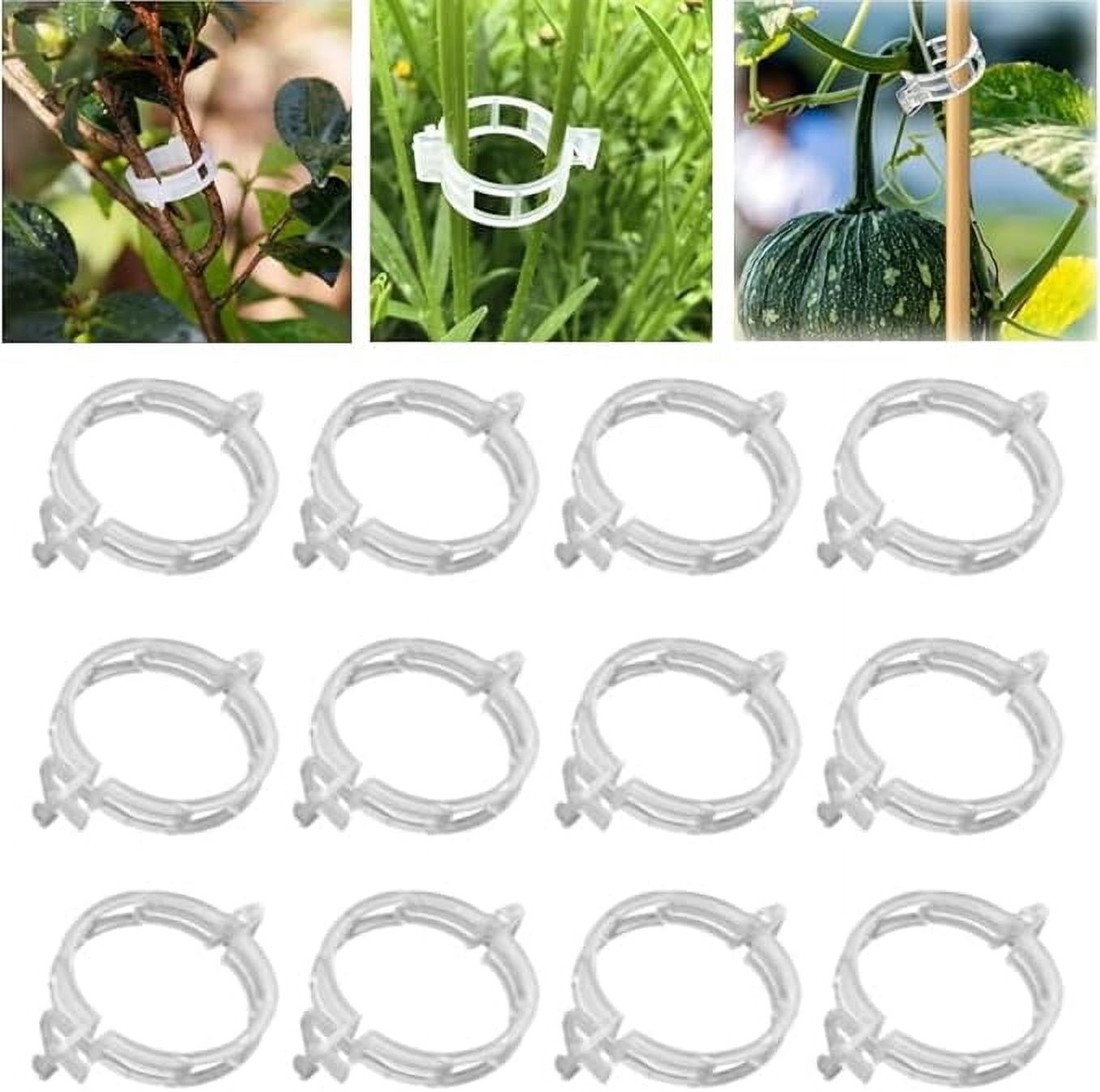 Plant Support Clips Reusable Garden Clips, Secured Plastic Plant Clips ...