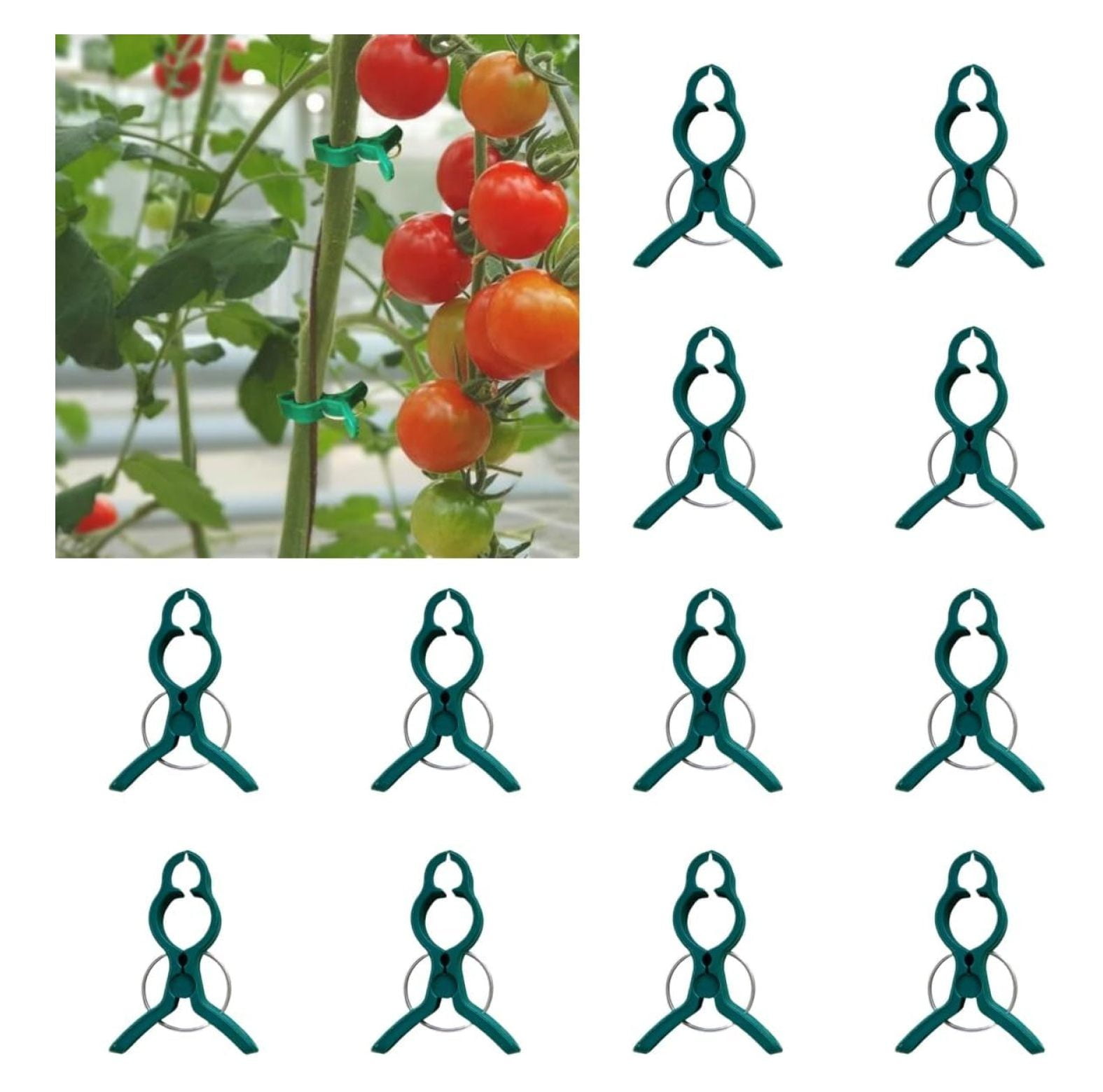 Plant Support Clips, Secured Plastic Plant Clips for Climbing Plants ...