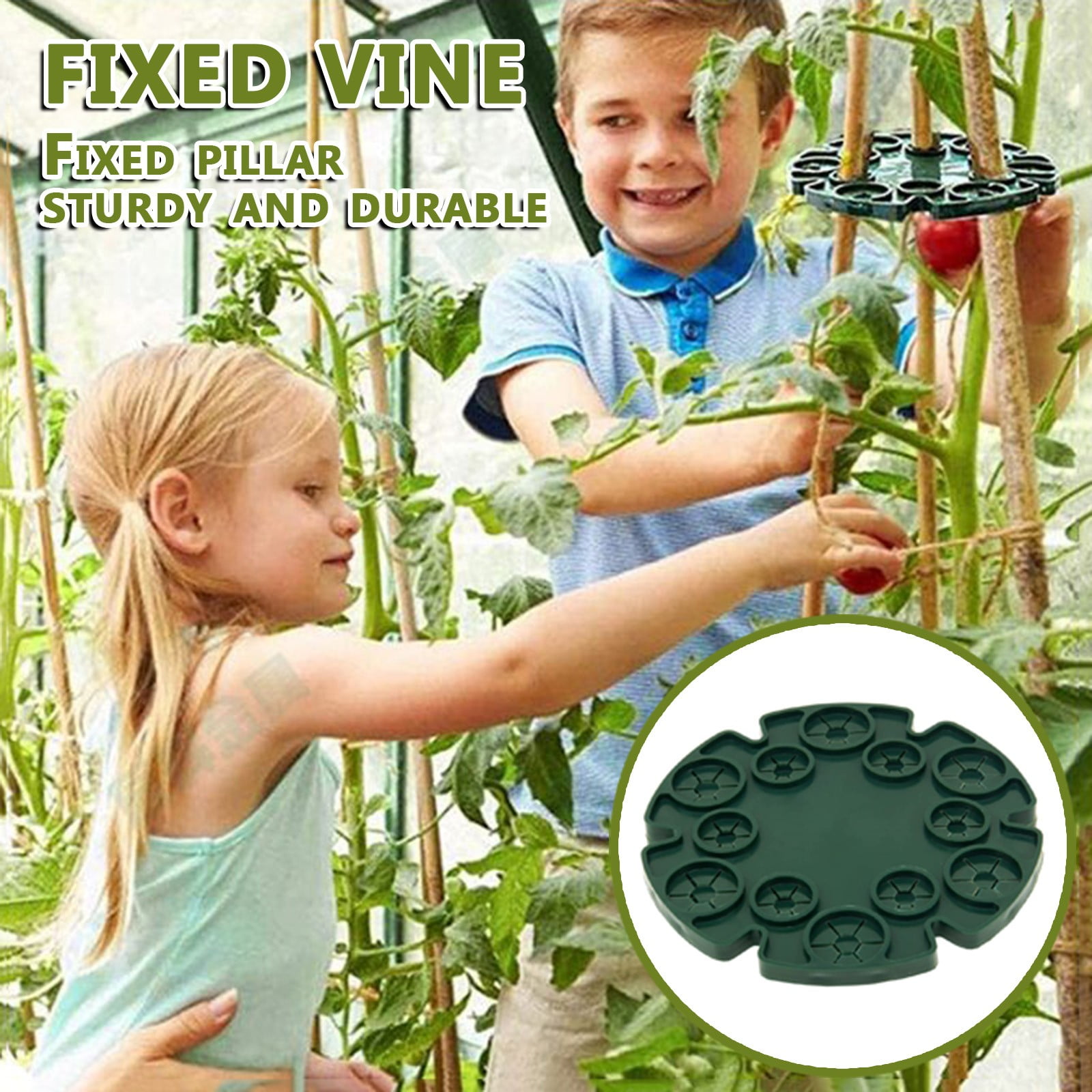 Plant Support Disk for Vines | 5.3 Inch, 12-Hole, Natural Bamboo ...