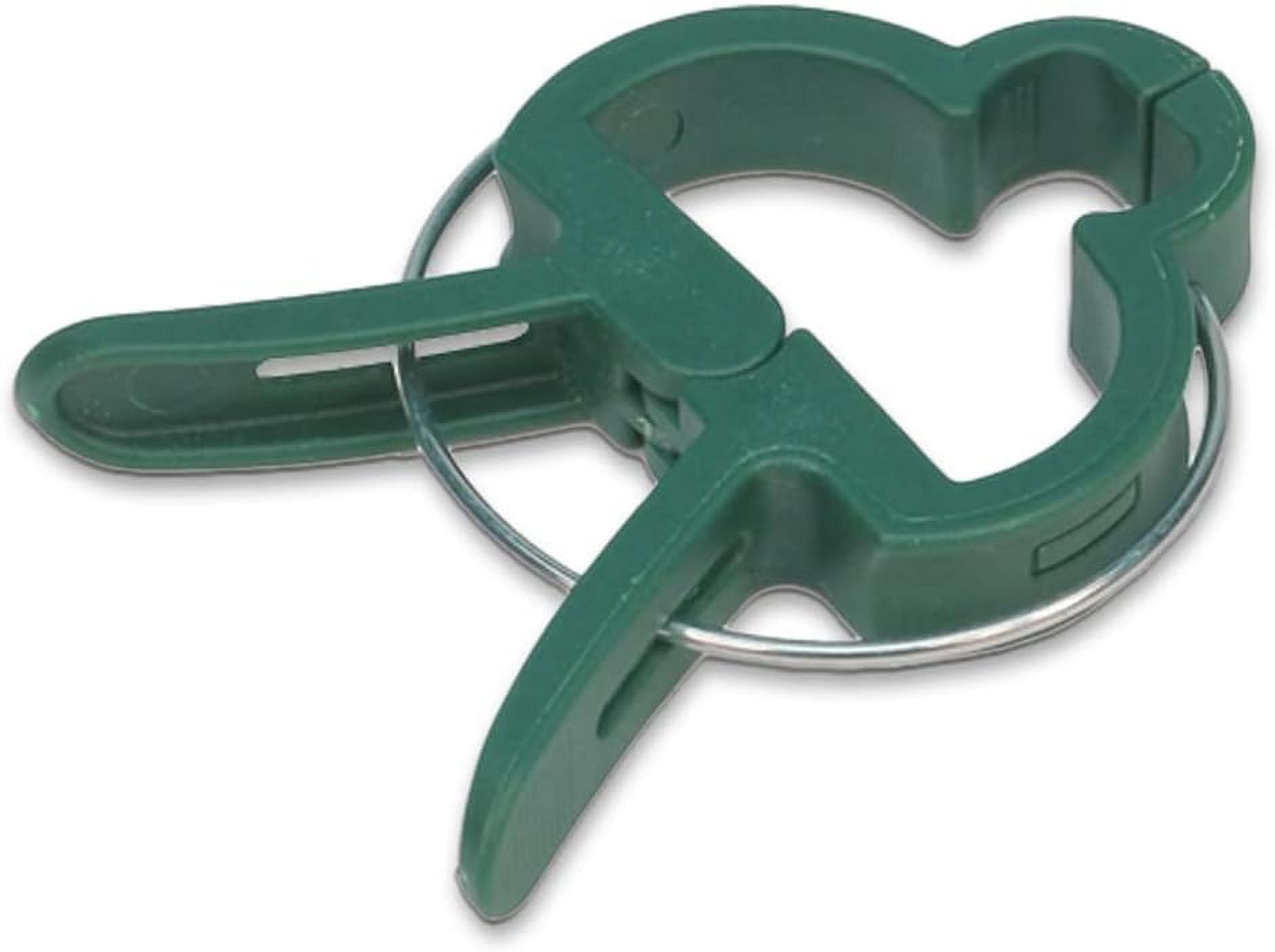 Plant for Support Garden for Climbing Wall Fixture Plants Vining Stalk ...