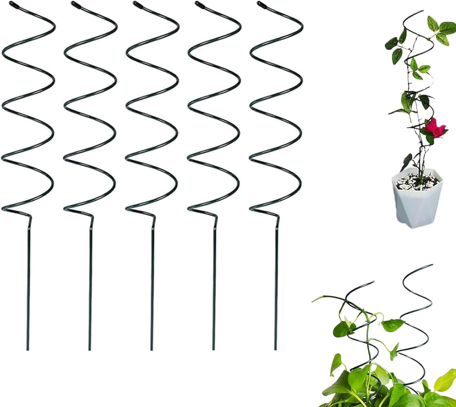 Plant Support Stakes Clearance, 5 Packs Metal Garden Flower Supports ...