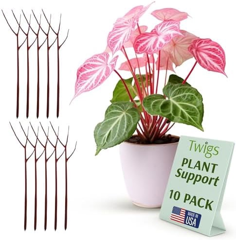 Plant Support Stakes for Indoor & Outdoor Use, Durable Trellis ...