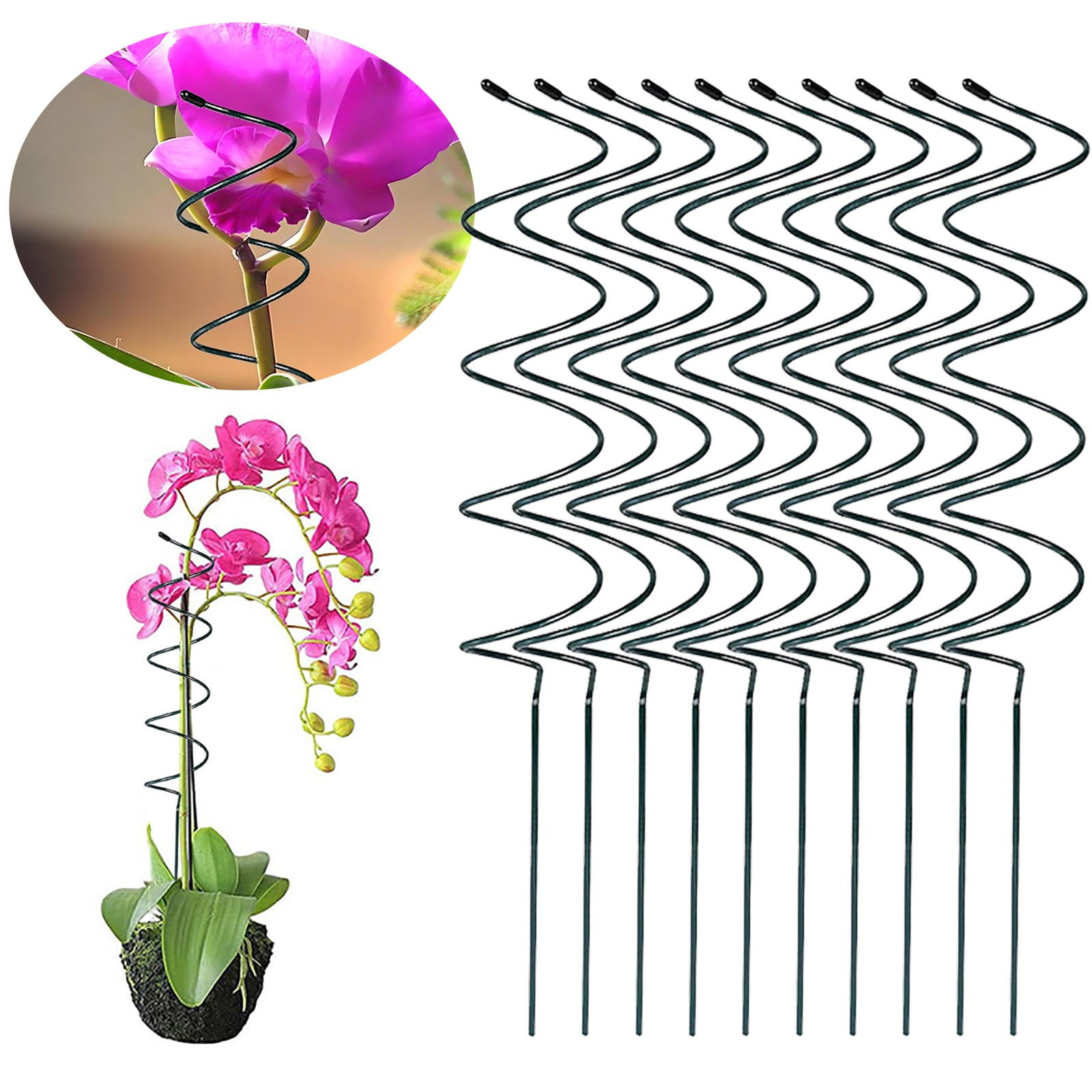 Plant Support Stakes, Metal Garden Flower Supports for Indoor Outdoor ...