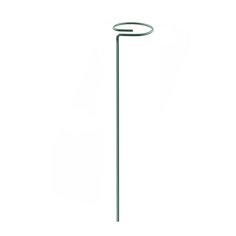 Plant Support Stakes Metal Garden Stakes Flower Support Stakes and Rings for Amaryllis Orchid ...