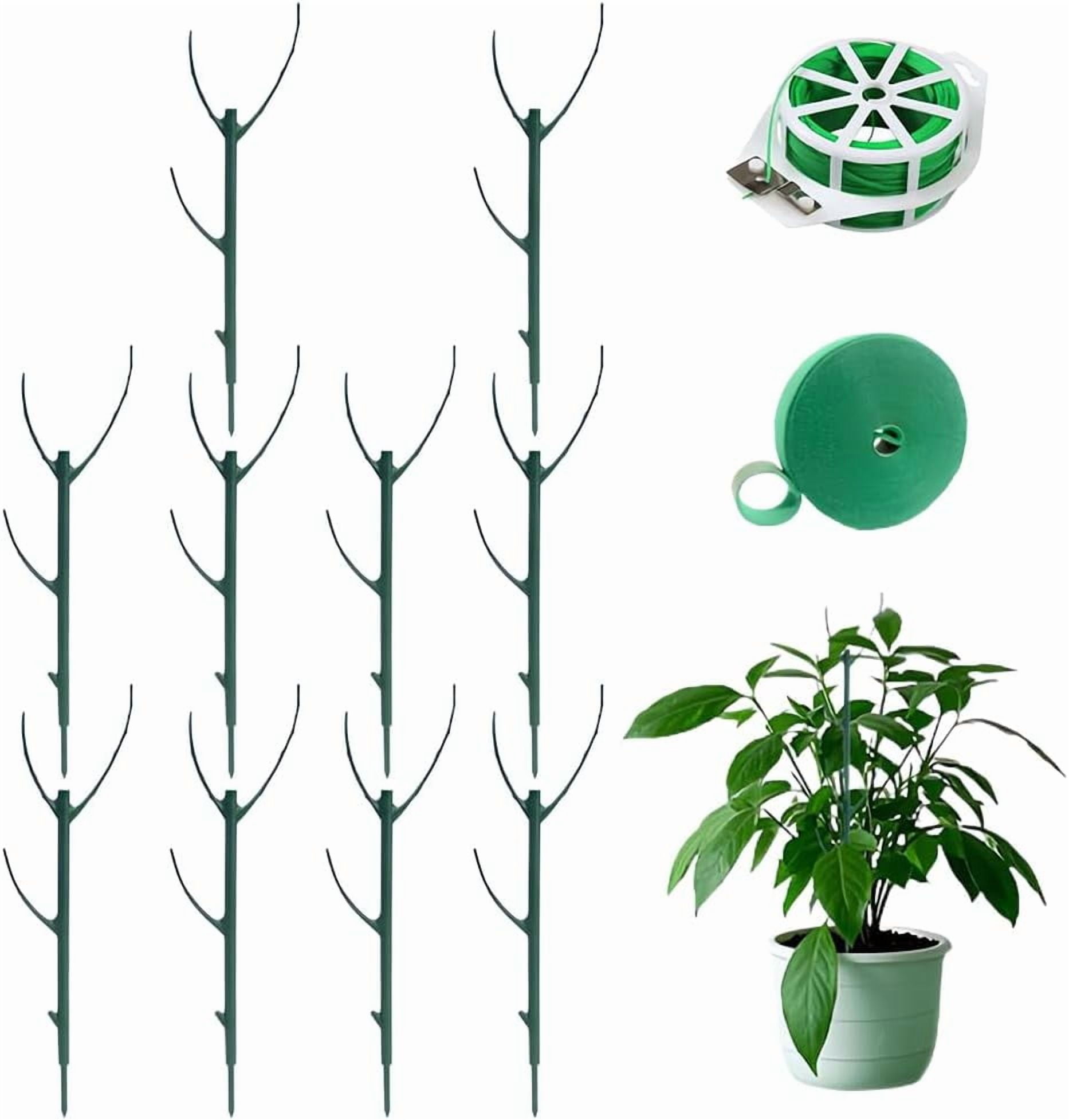 Plant Support Stakes, Stackable Monstera Plant Stakes for Indoor and ...