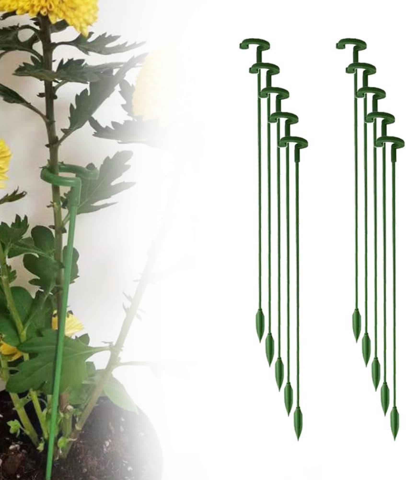 Plant Support Stakes, Plant Stakes and Supports Plant Stem Support ...