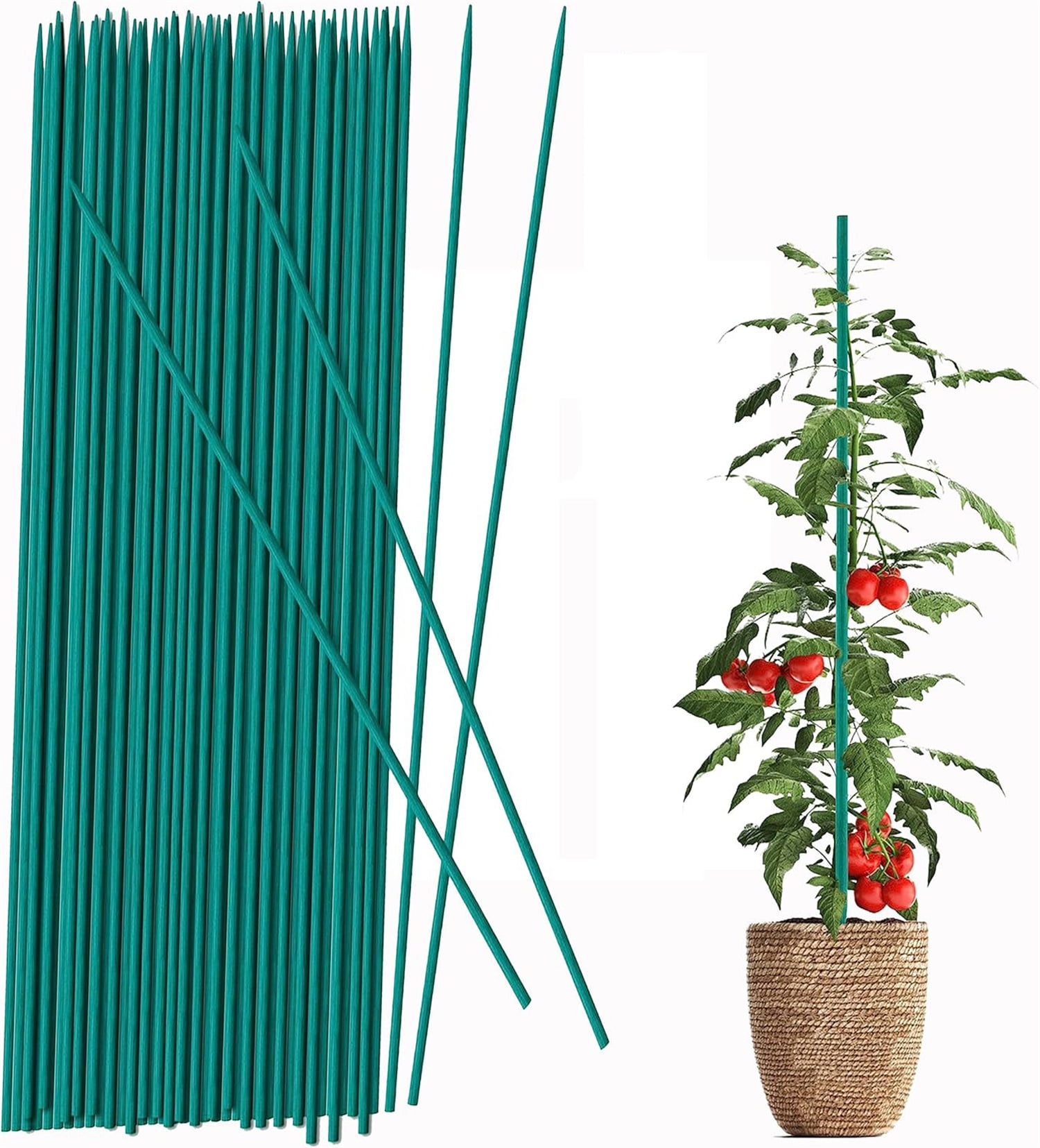 Plant Support Sticks,Bexikou 50Pack 15.7in Plant Stakes,Green Bamboo ...