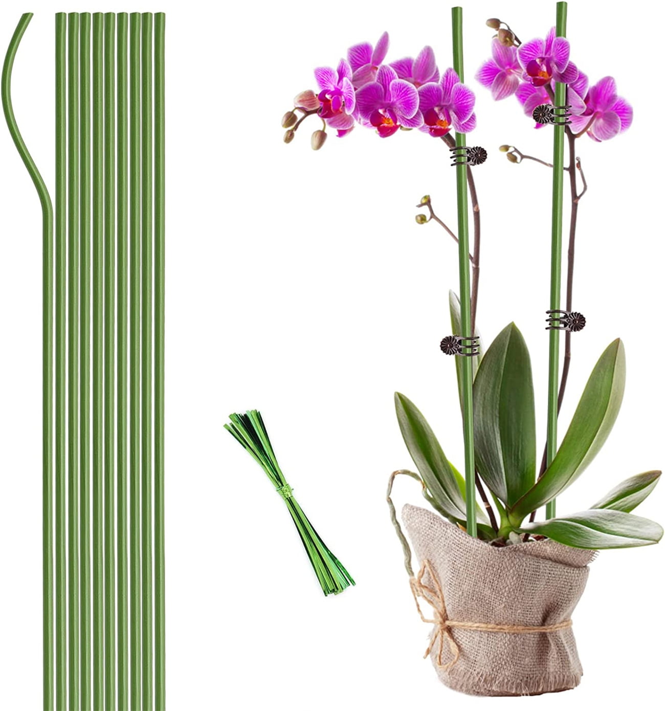 Plant Support Sticks,Happon 40cm Green Plant Stake Single Support ...