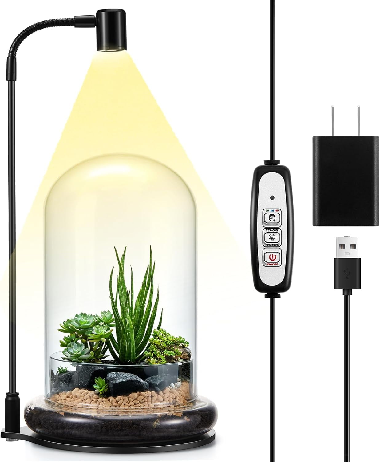 Plant Terrarium Kit with Grow Light, 4.8'' x 7.87'' Glass Dome ...