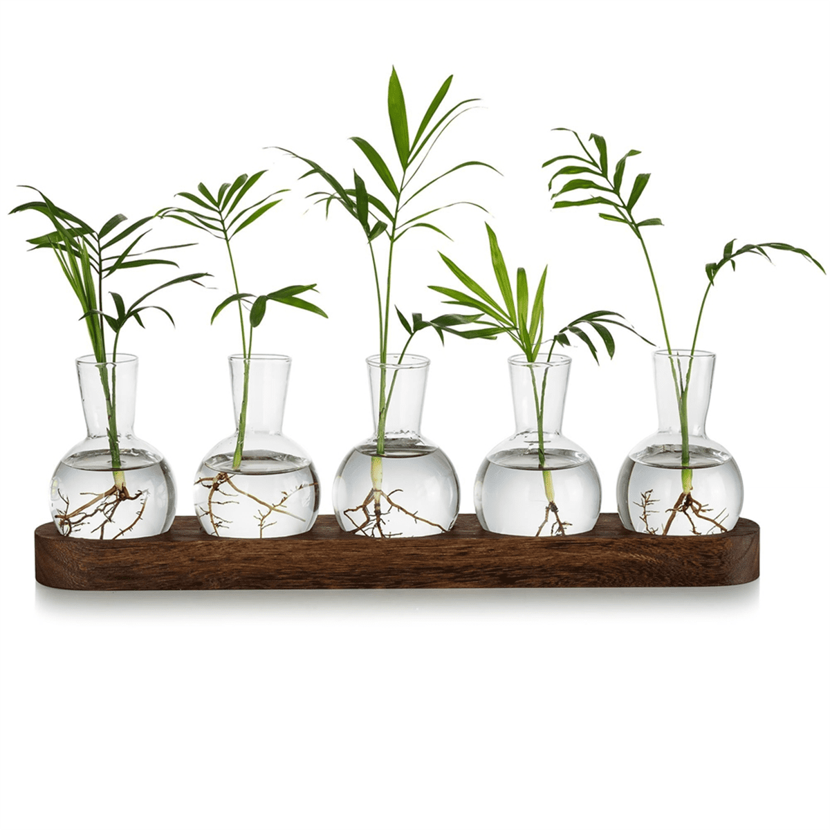 Plant Terrarium Propagation Station, Glass Planter Bulb Vase with ...
