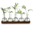 Plant Terrarium Propagation Station, Glass Planter Bulb Vase with ...