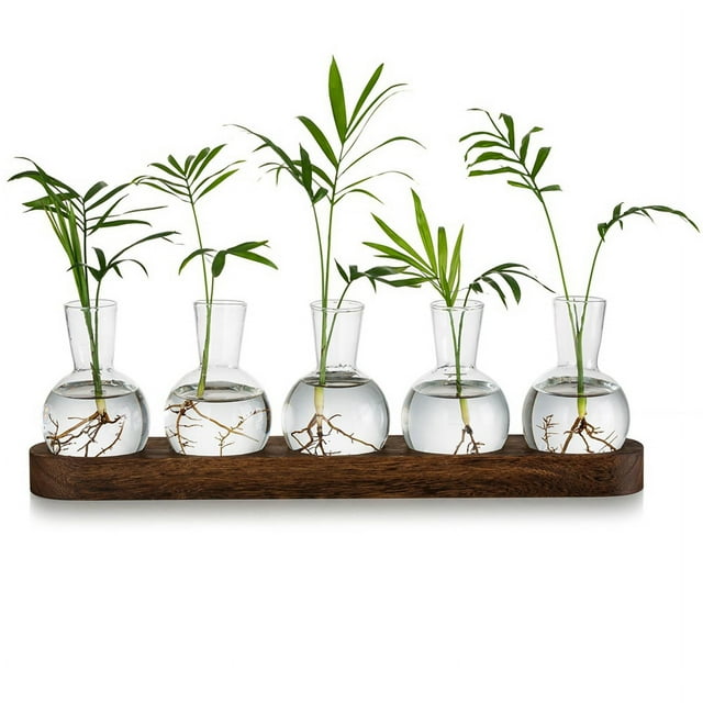 Plant Terrarium Propagation Station, Glass Planter Bulb Vase with ...