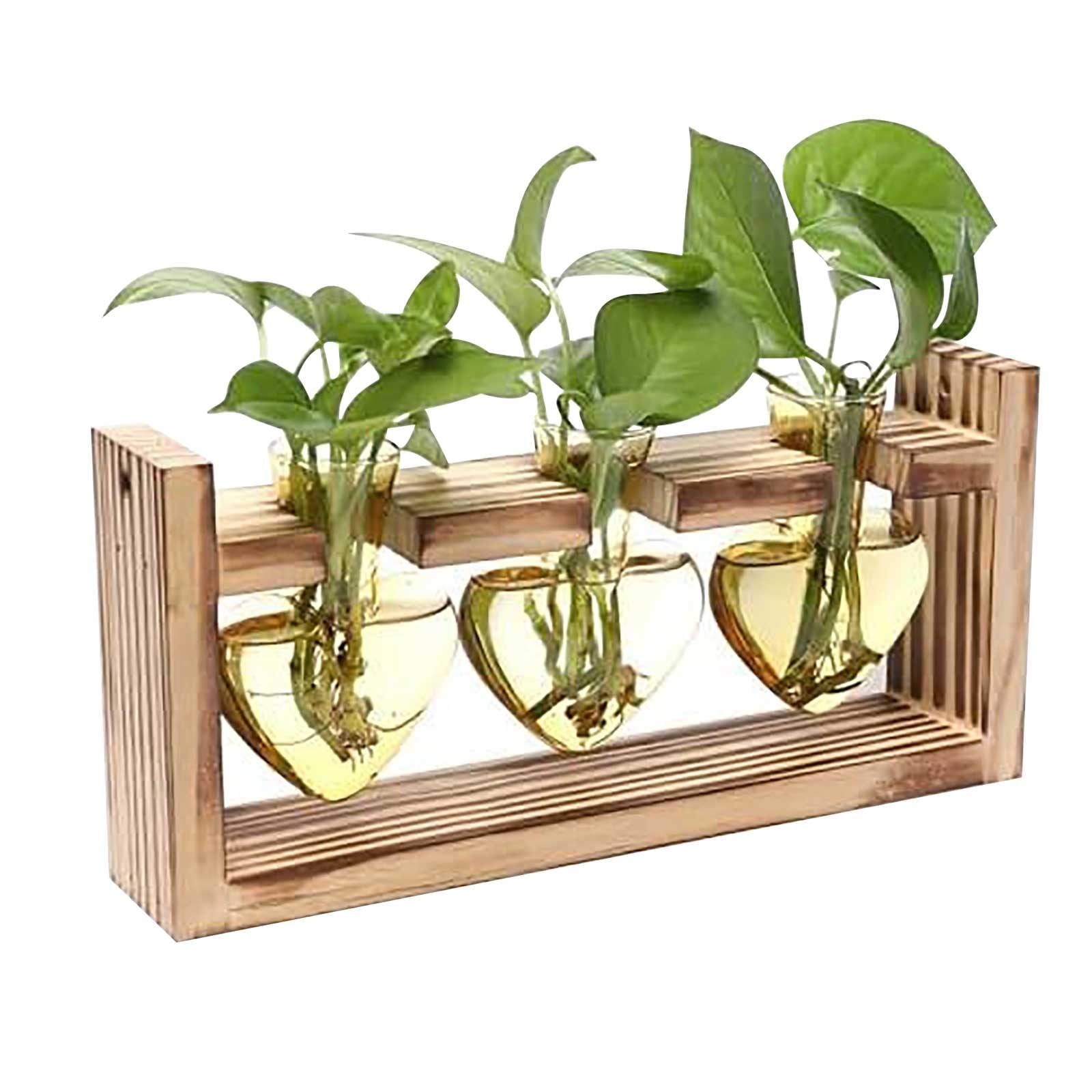 Plant Terrarium Propagation Stations Hydroponics Home Garden Decoration ...