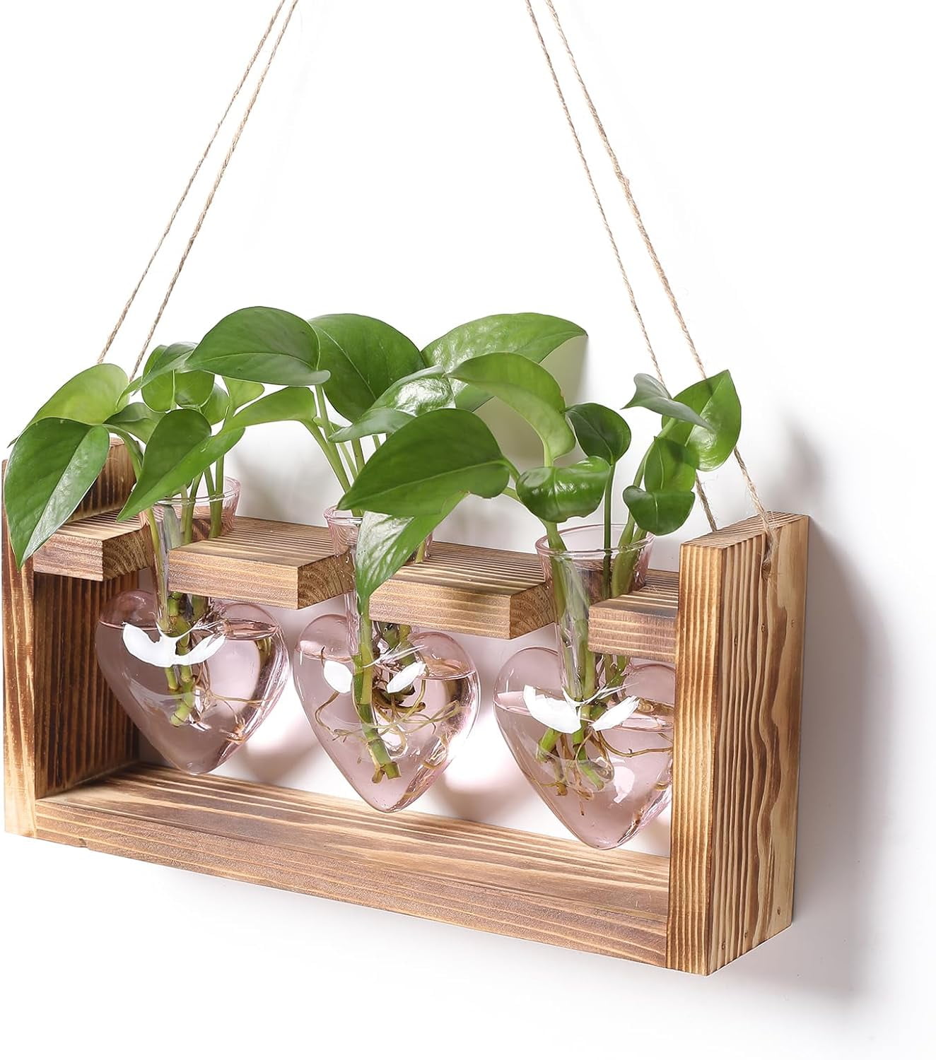 Plant Terrarium Unique Birthday Gift for Women Wall Planters for Indoor ...